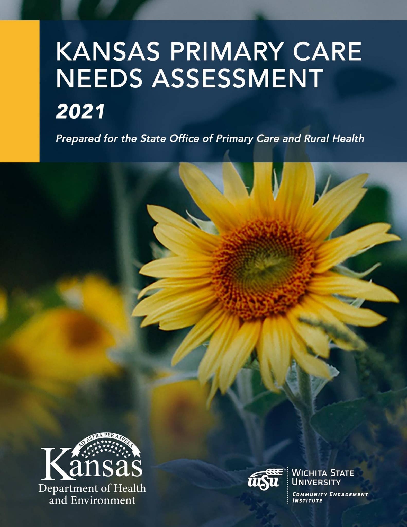 Kansas Primary Care Needs Assessment 2021 by Kansas Department of ...
