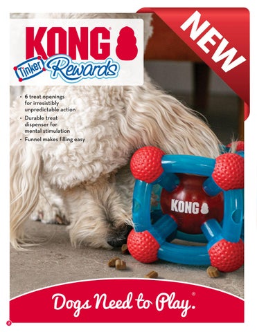 KONG February 2022 Promo Book by KONG Company - Issuu