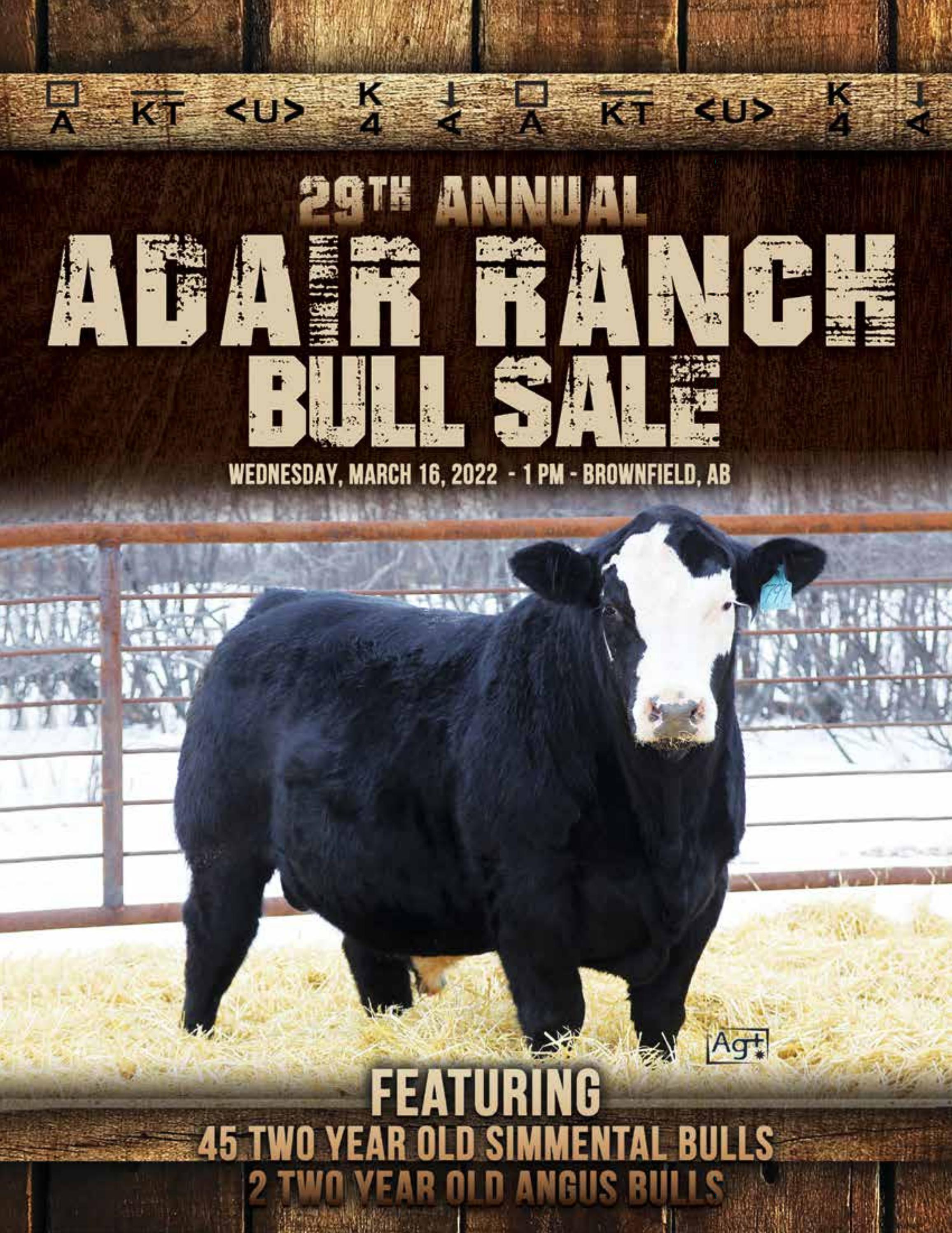Adair Ranch 29th Annual Bull & Female Sale - Brownfield, AB by DLMS ...