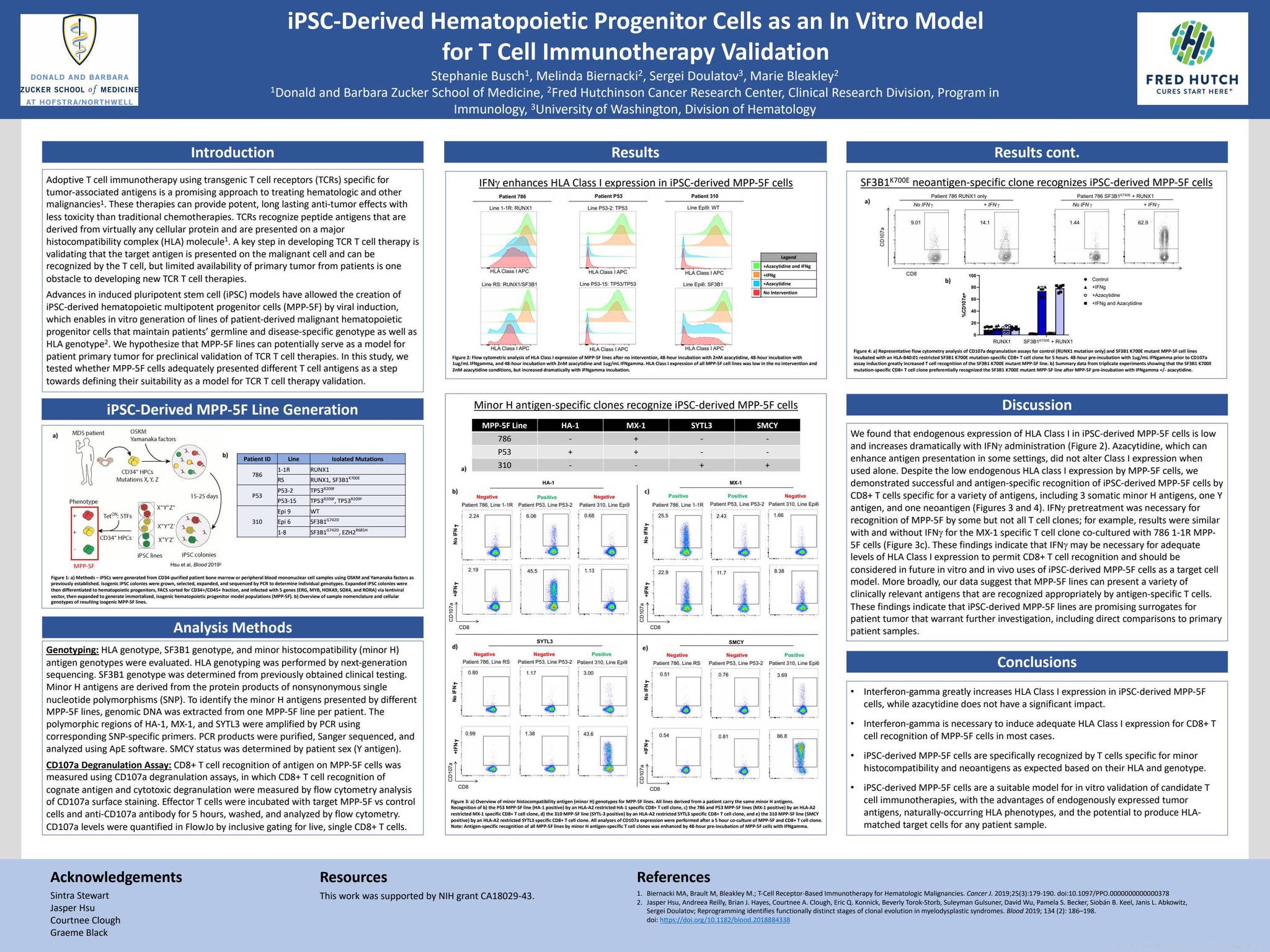 Stephanie Busch by Hofstra University - Issuu