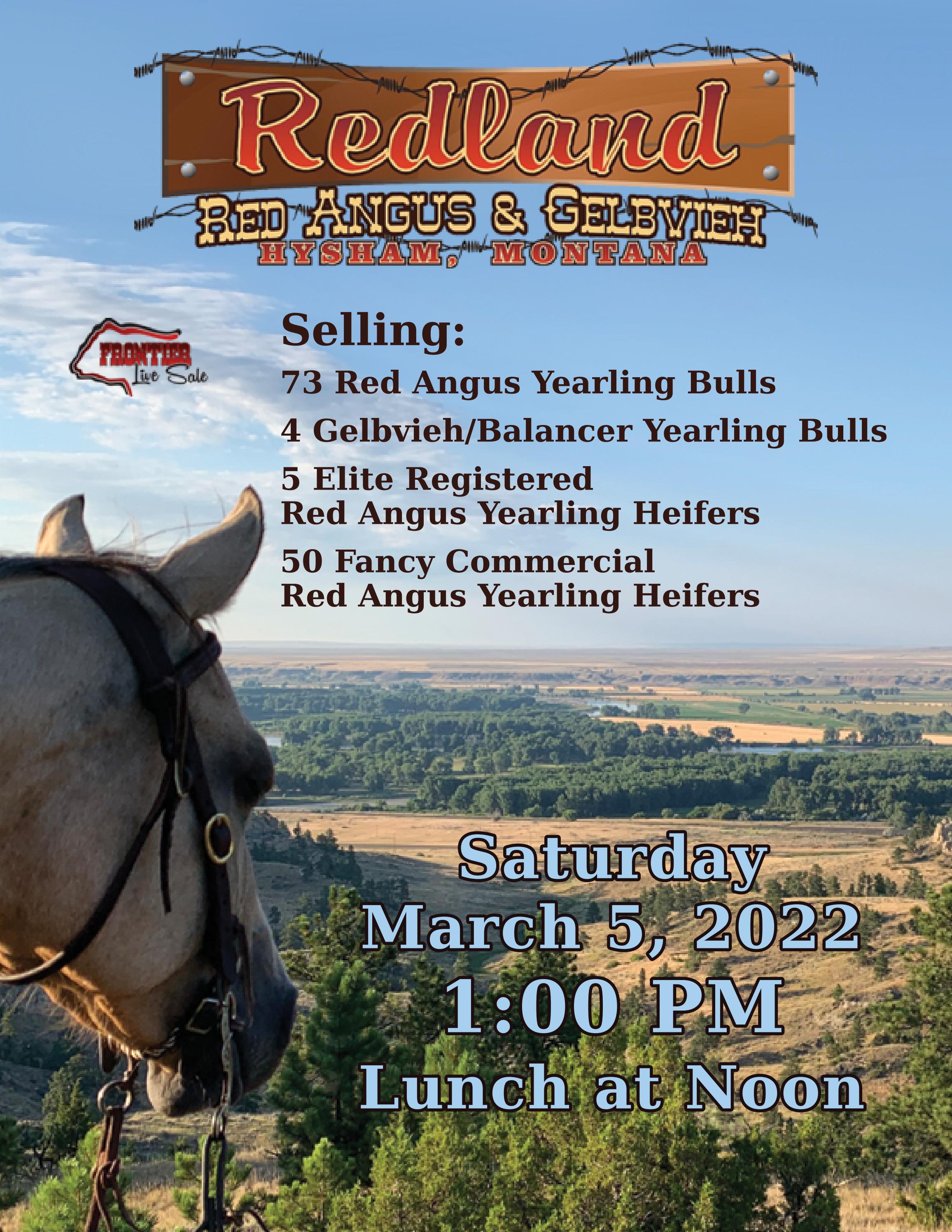 Redland Red Angus & Gelbvieh Sale Catalog 2022 by PeltonLivestock - Issuu