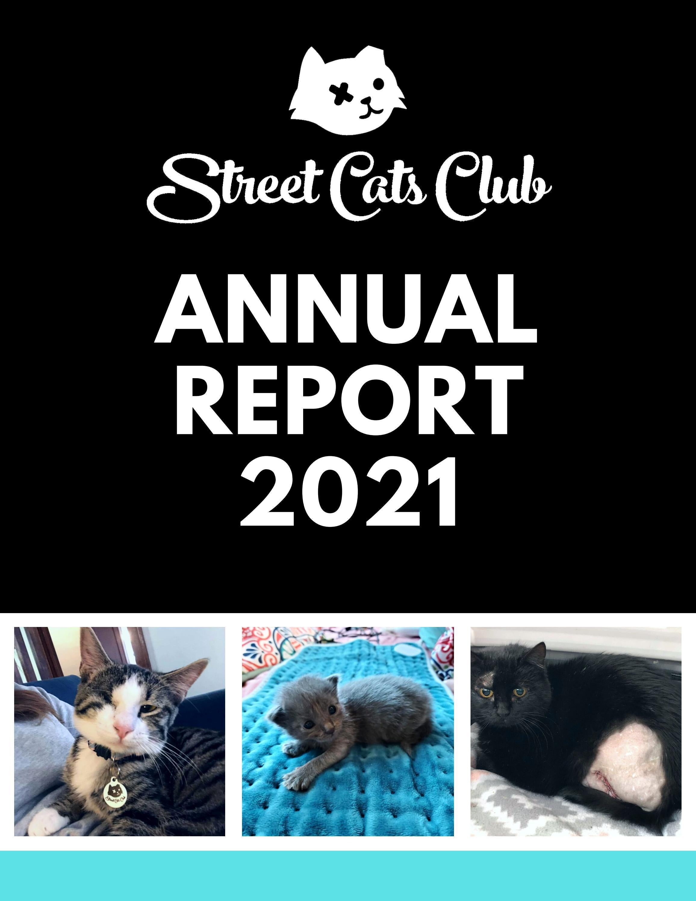 Street Cats Club 2021 Annual Report by streetcatsclub - Issuu