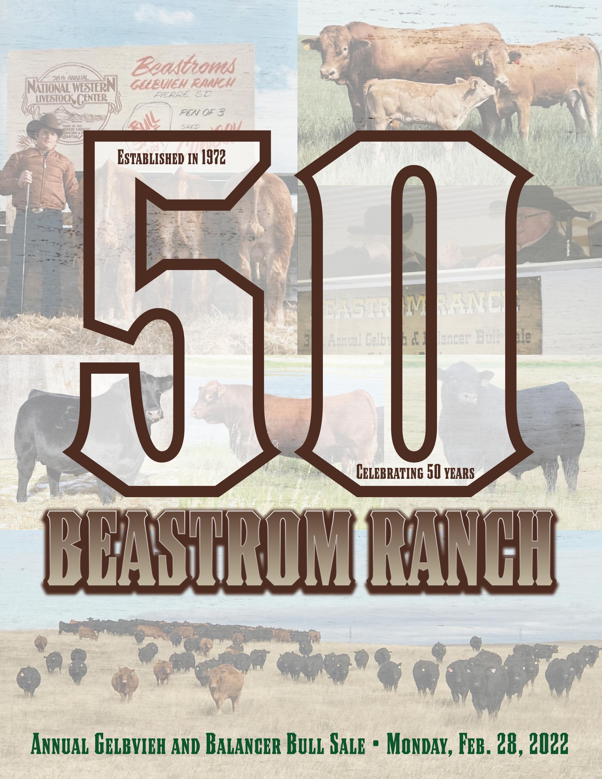 2022 BEASTROM RANCH BULL SALE by bbeastrom - Issuu