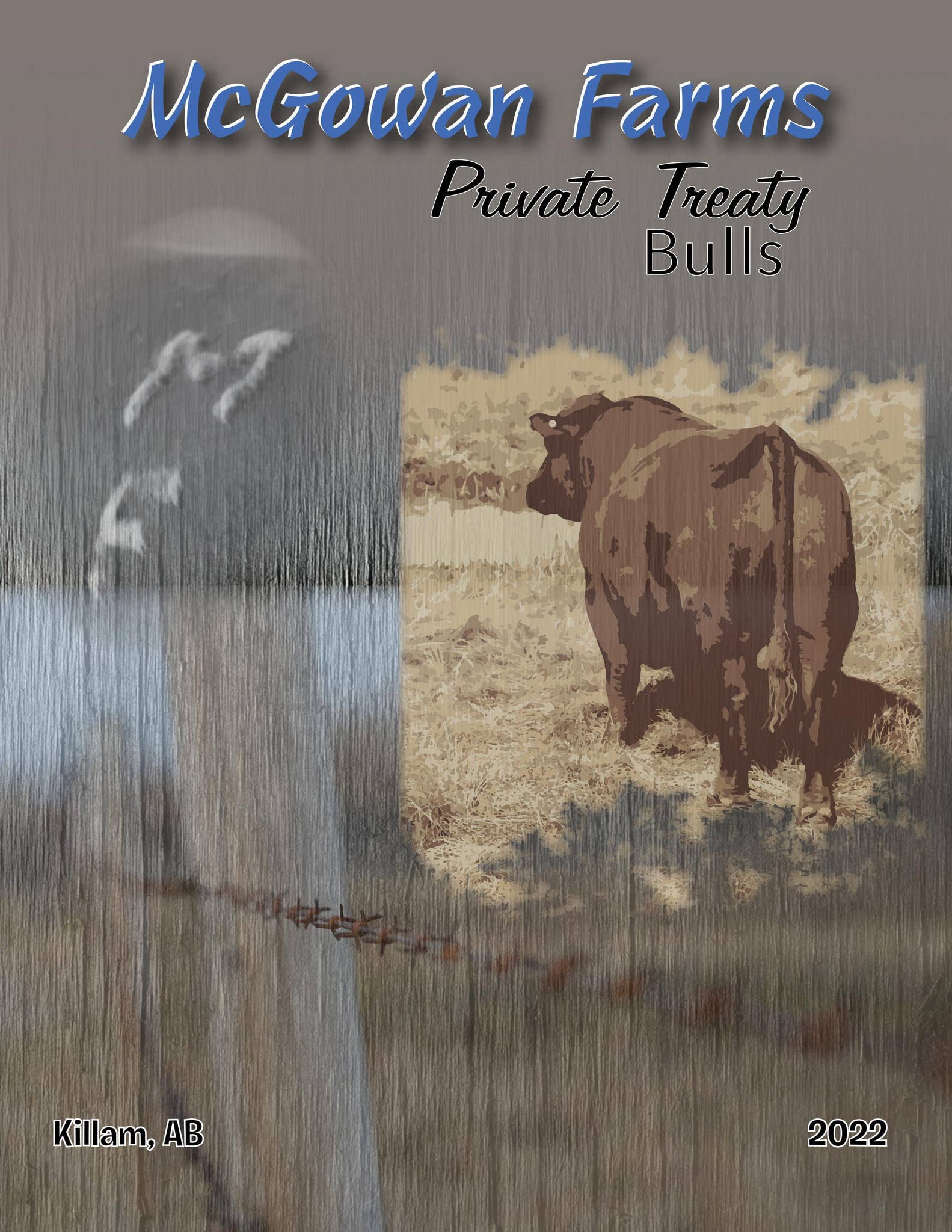 McGowan Farms 2022 Private Treaty Bulls by AgPlus Design - Issuu