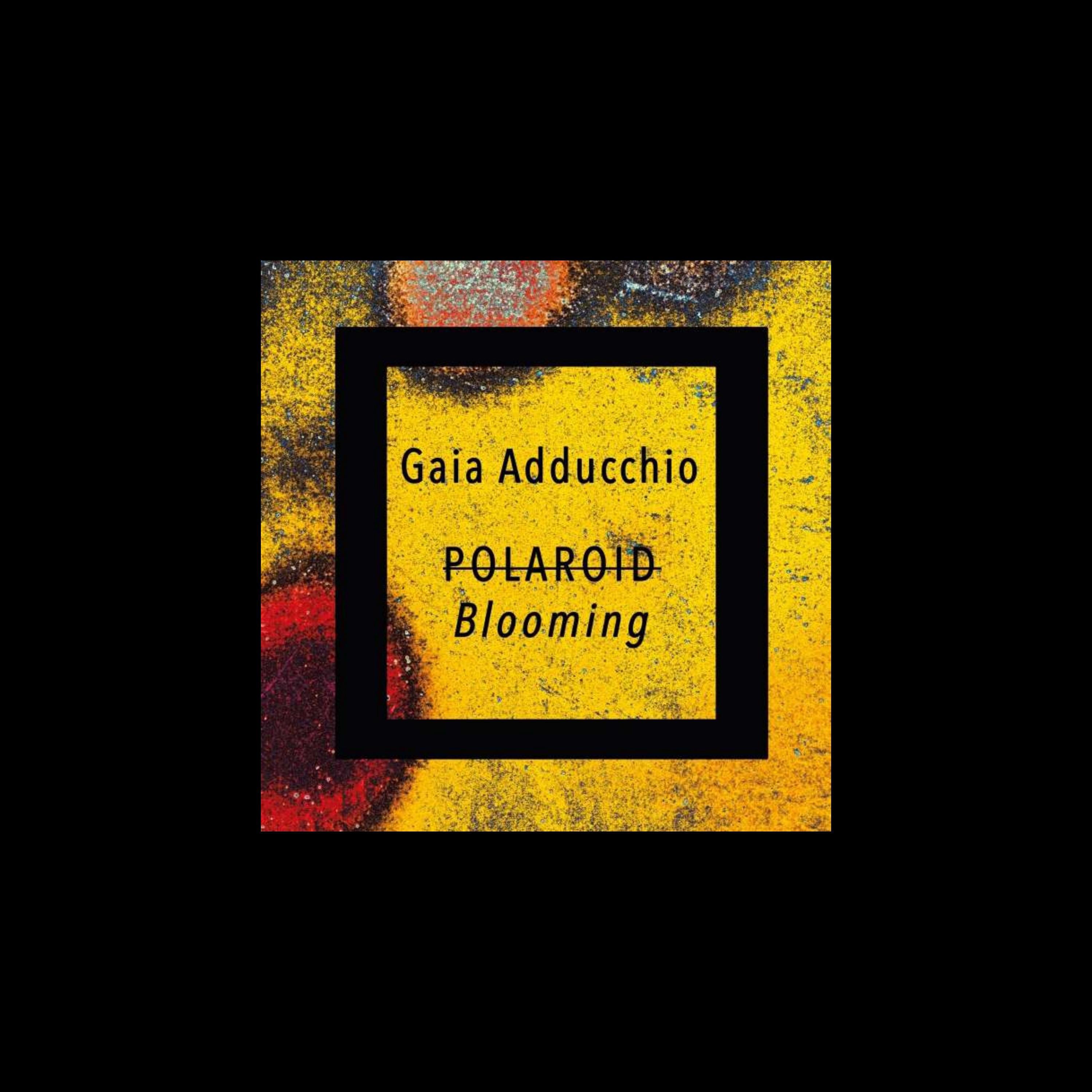 Gaia Adducchio - POLAROID BLOOMING, a cura di Beatrice Luzi by Beatrice ...
