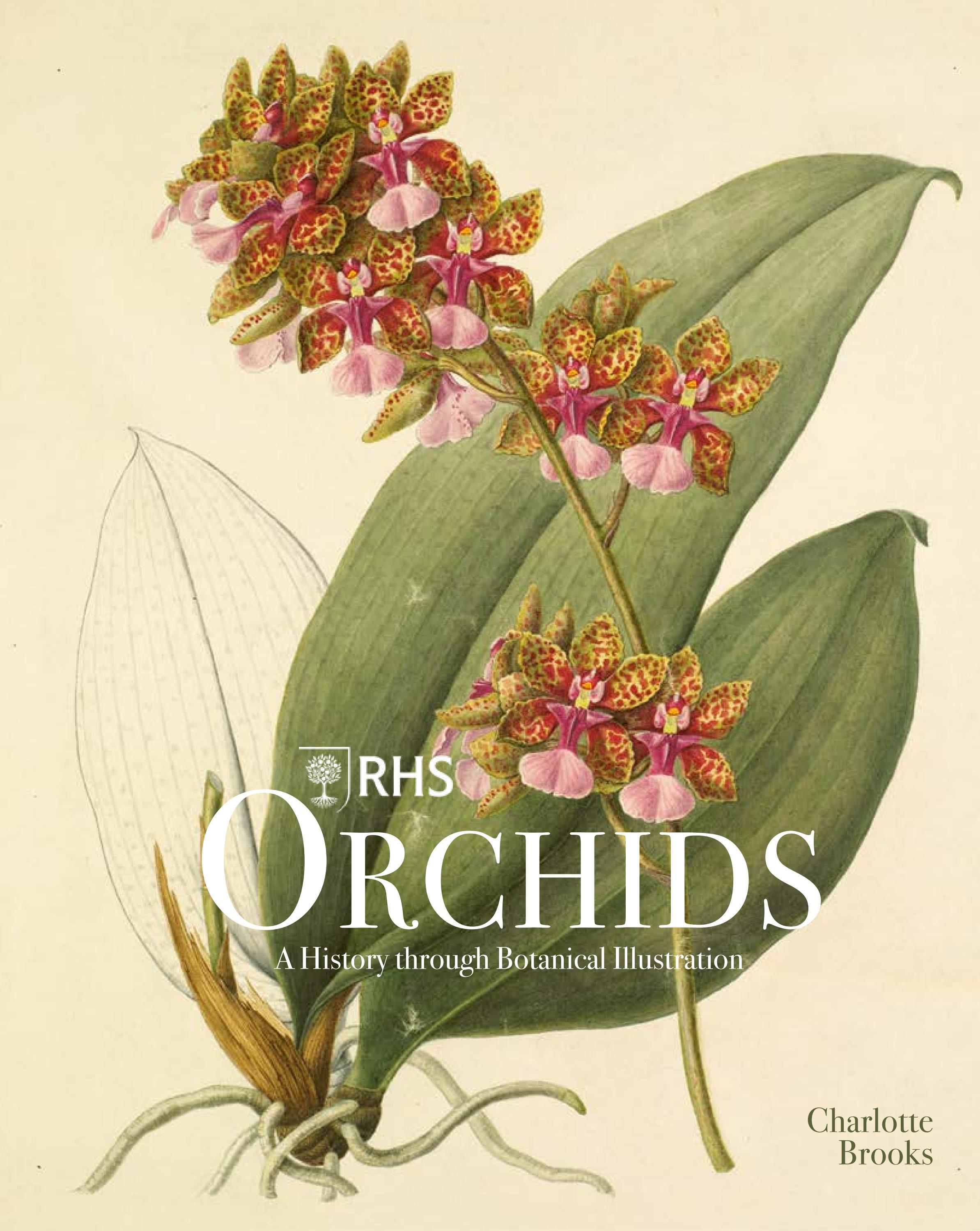 RHS Orchids by ACC Art Books - Issuu