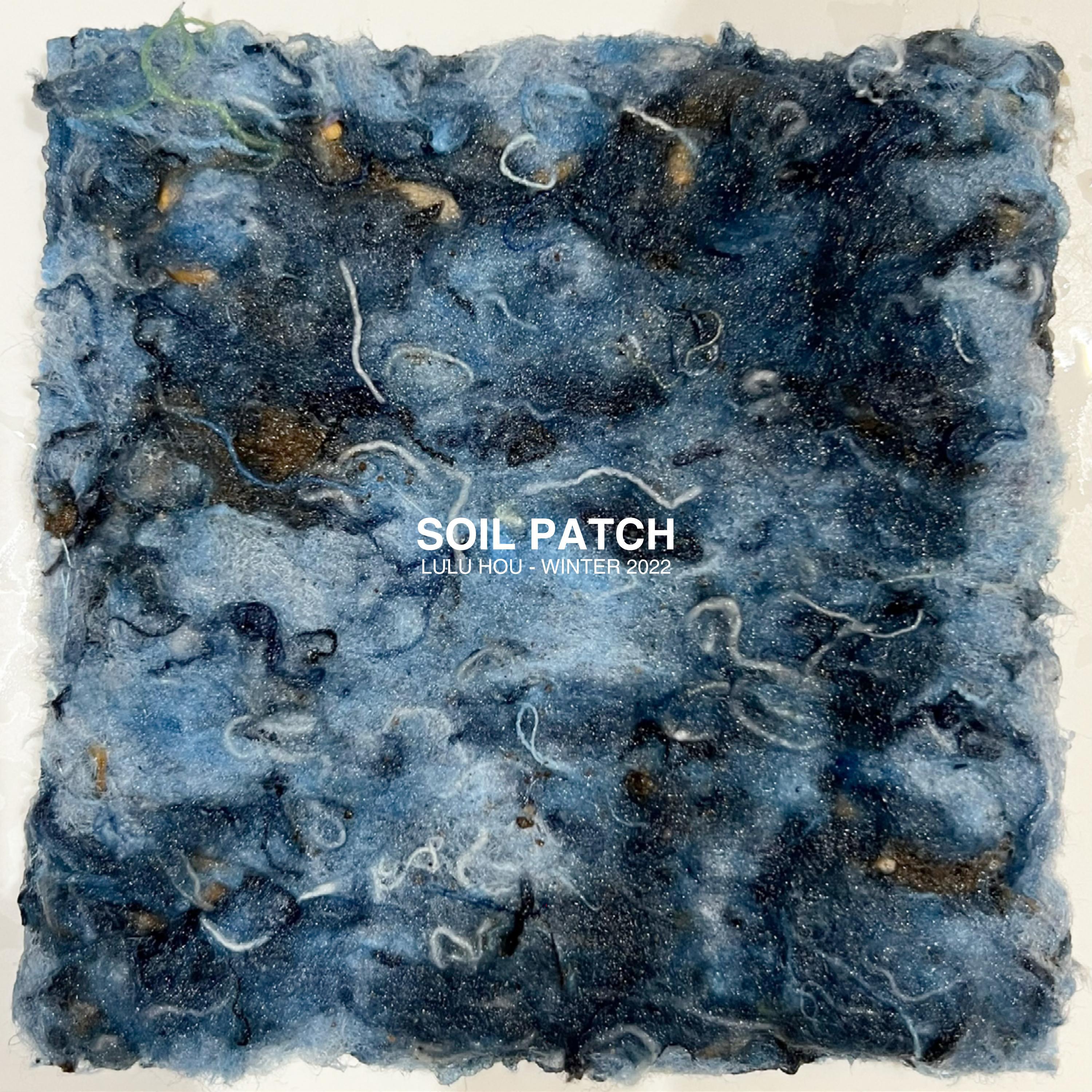 SOIL PATCH 2022 by Lulu Hou - Issuu