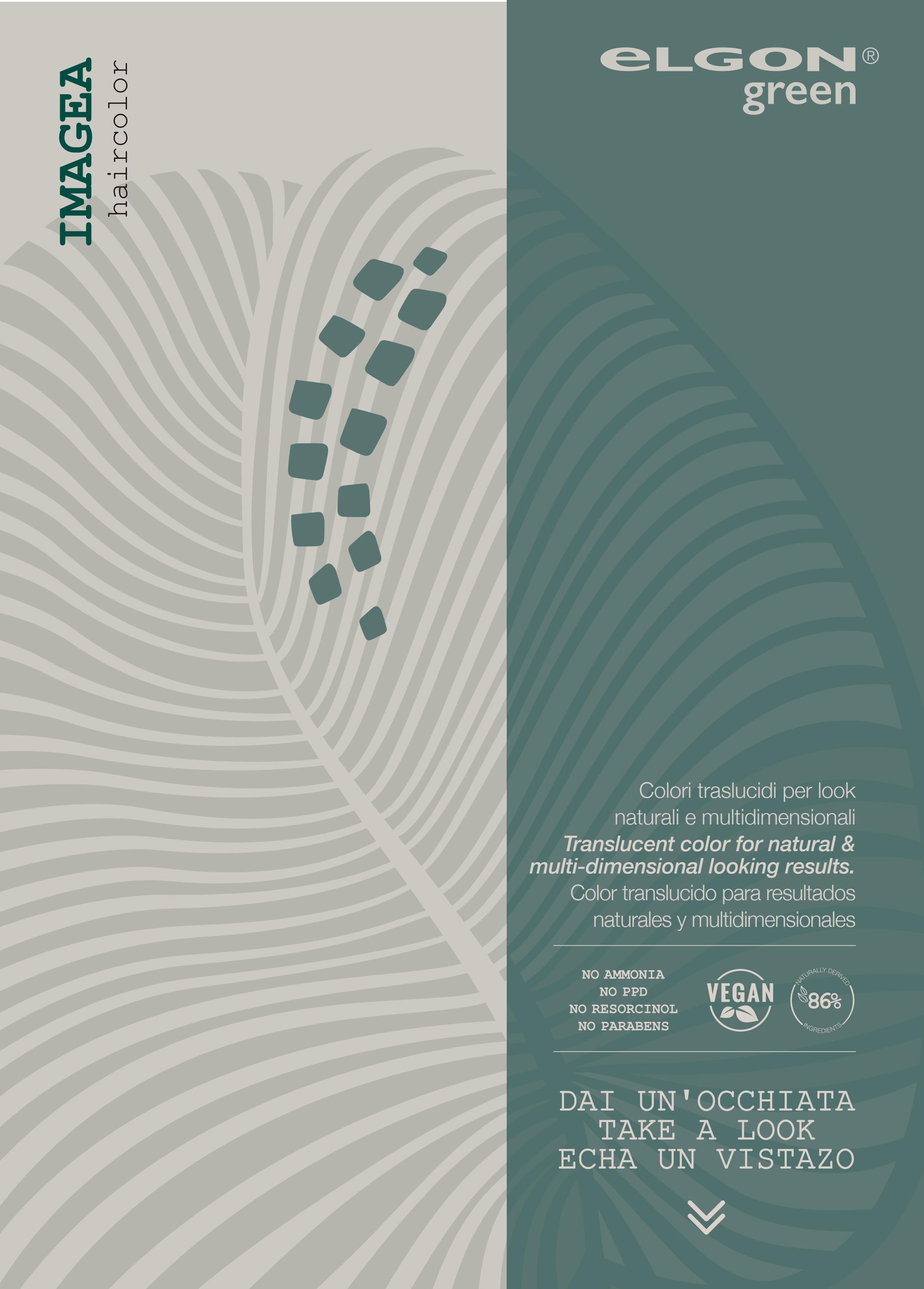 Imagea - Carta de color by picharachile - Issuu