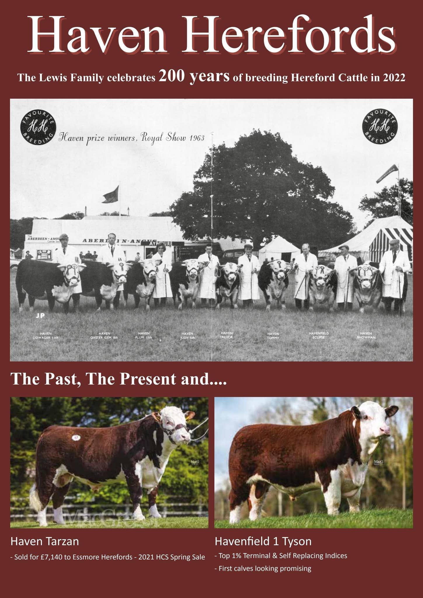 Hereford breed journal 2022 by UK Herefords - Issuu