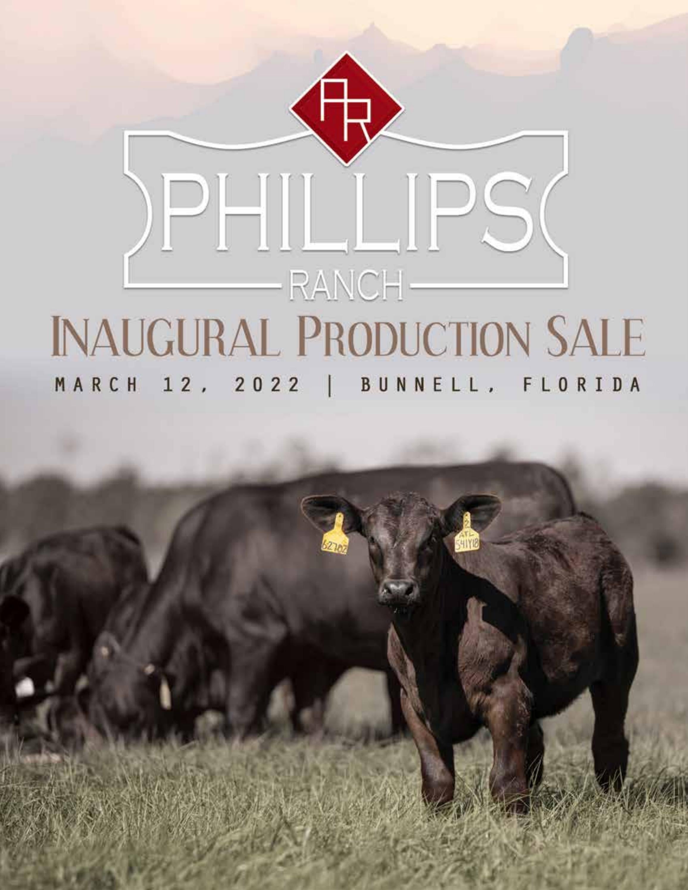 2022 Phillips Ranch Inaugural Production Sale by Crystal Devoll - Issuu
