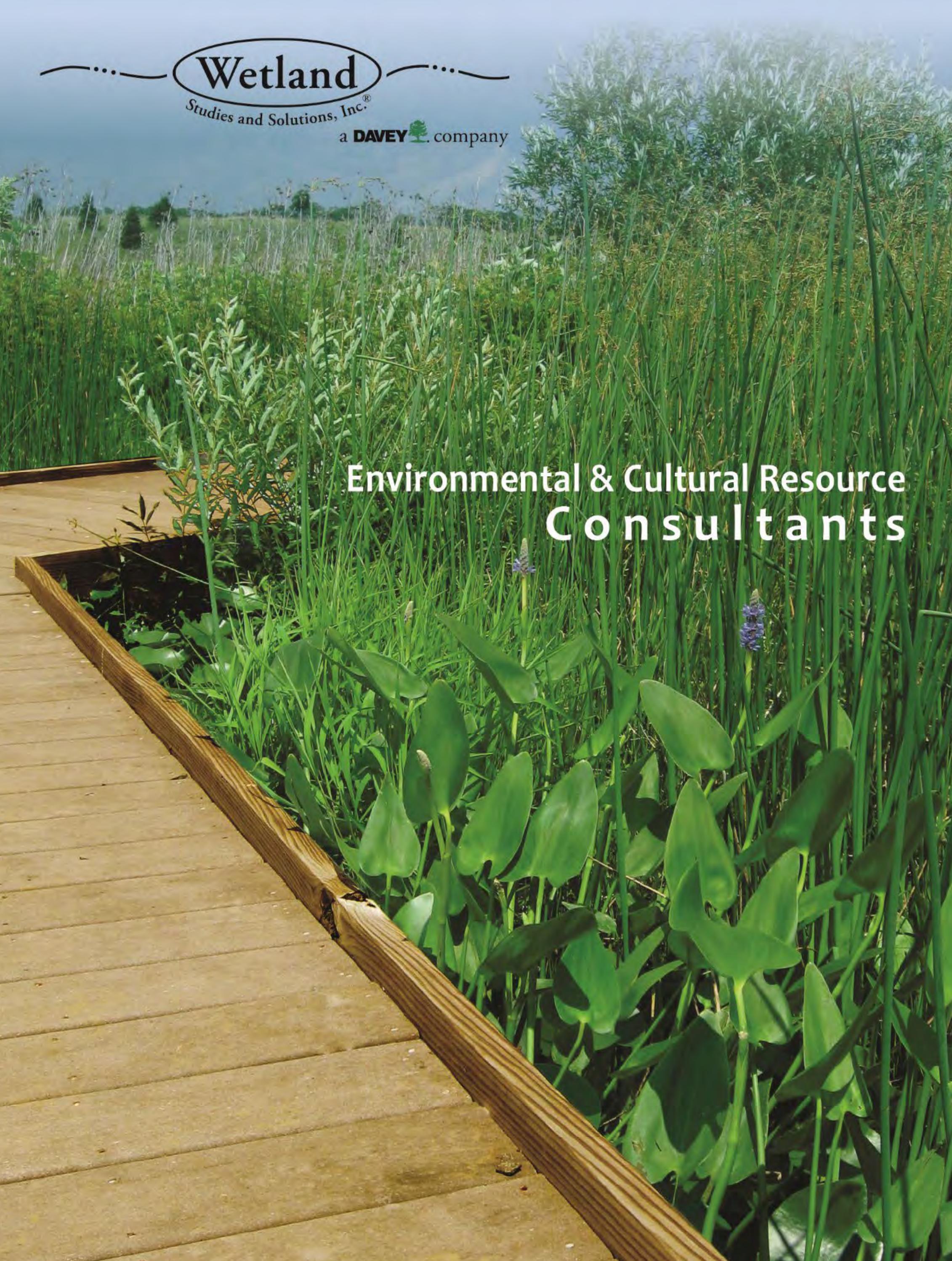 WSSI Brochure by Wetland Studies and Solutions, Inc. - Issuu