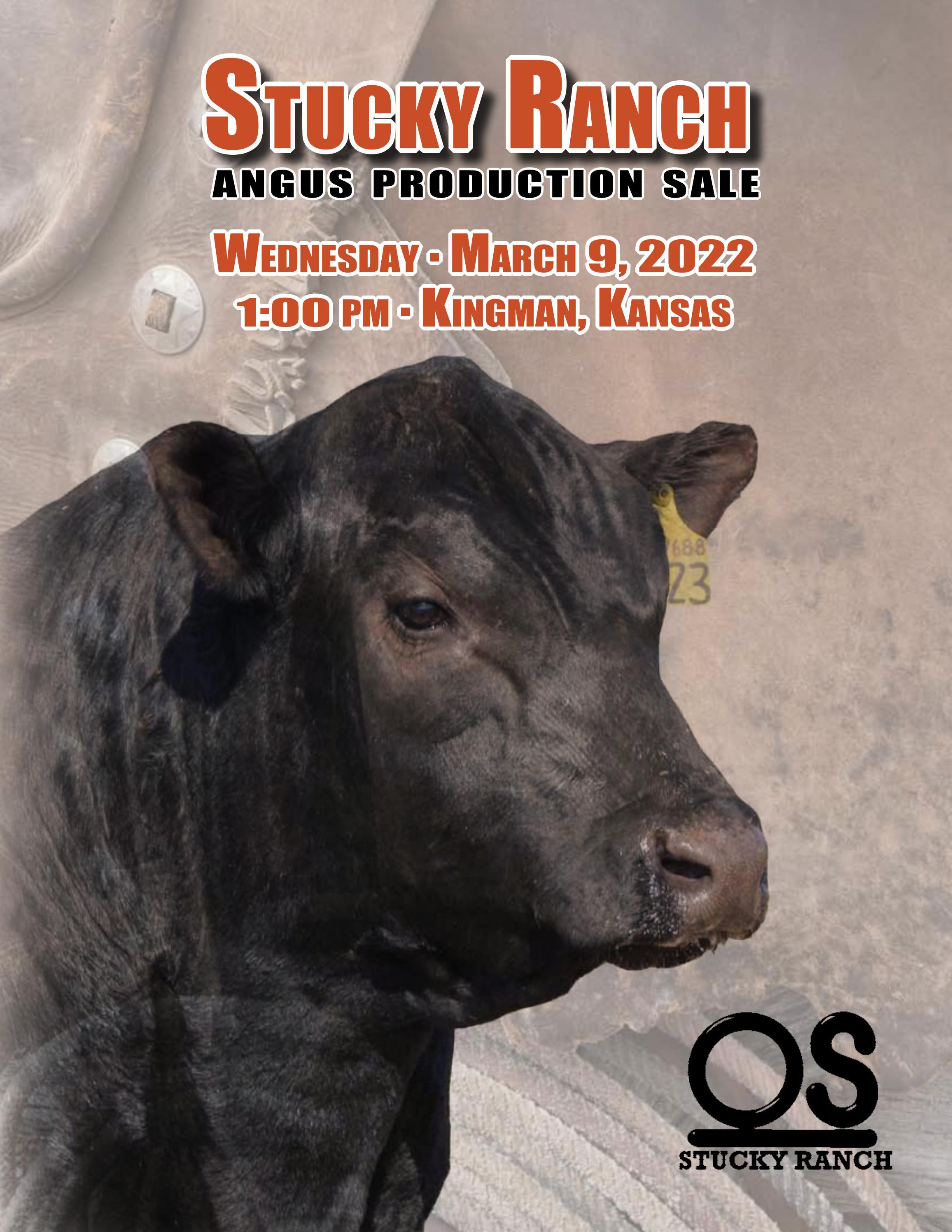 Stucky Ranch Angus Production Sale Catalog 2022 by PeltonLivestock - Issuu