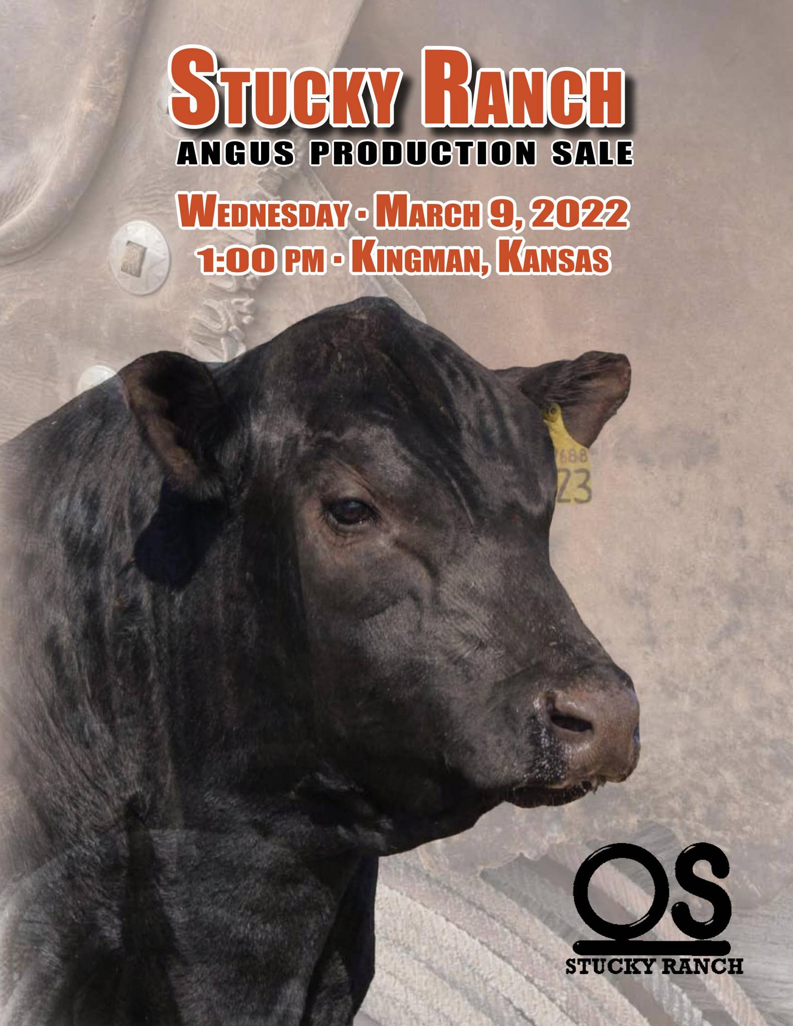 Stucky Ranch Angus Production Sale Catalog 2022 by PeltonLivestock - Issuu