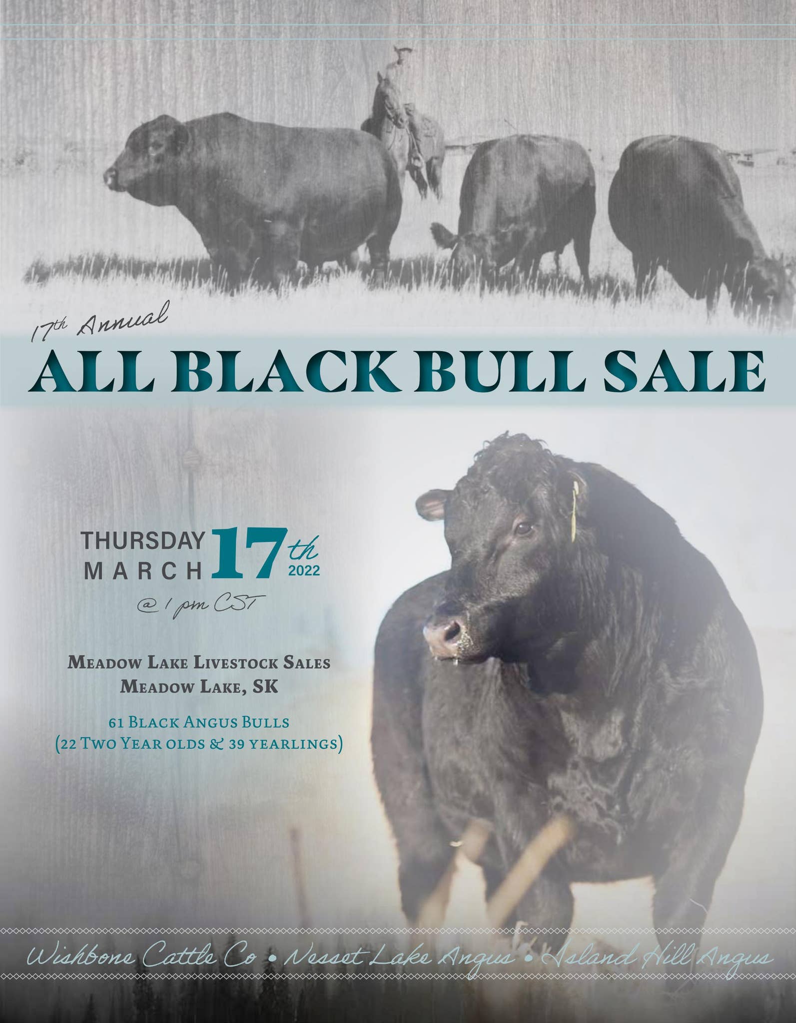 All Black 17th Annual Bull Sale - Bowerman/ Wish Bone/ Nesset Lake ...