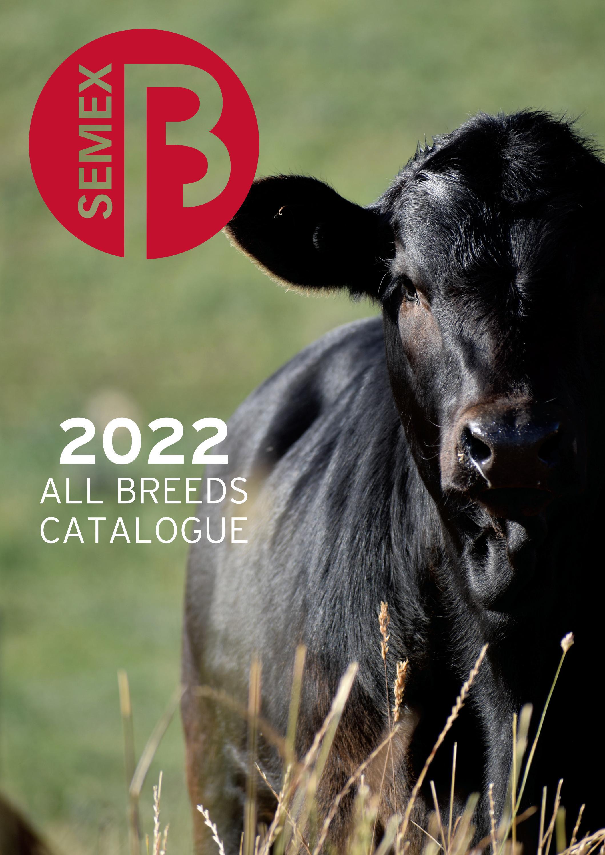 Semex Beef - 2022 All Breeds Catalogue - Australia by Semex - Issuu