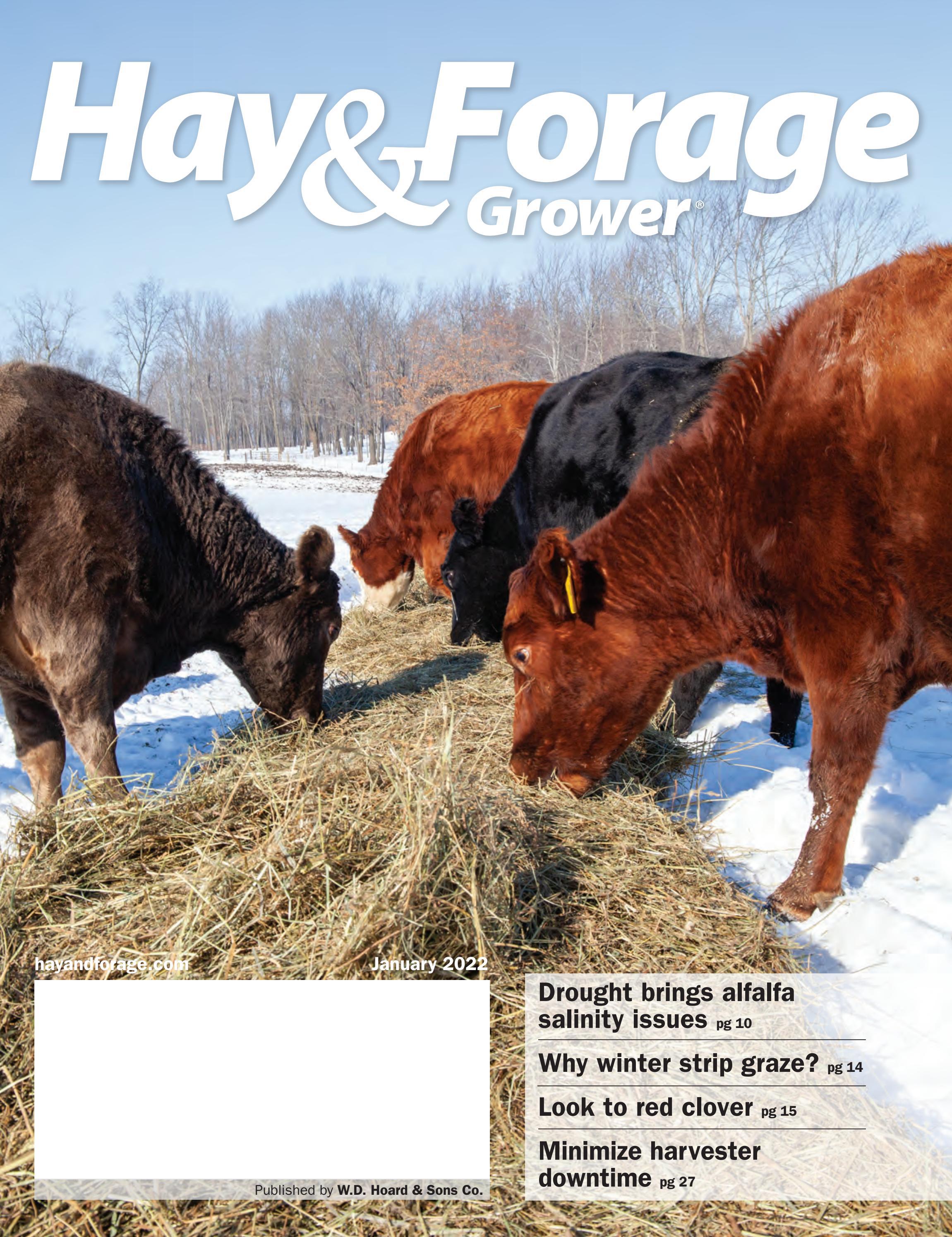 Hay & Forage Grower - January 2022 by Hay & Forage Grower / Journal of ...
