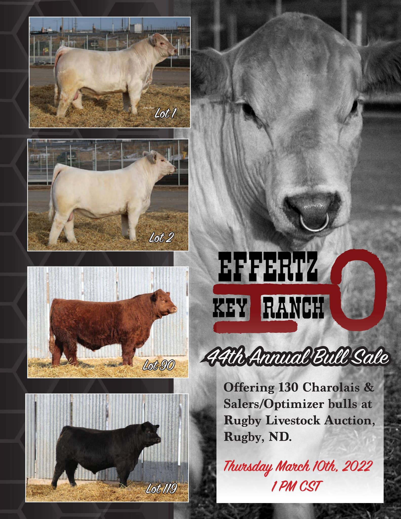 Effertz Key Ranch - 2022 Spring Catalog - 3.10.22 by LivestockDirect ...