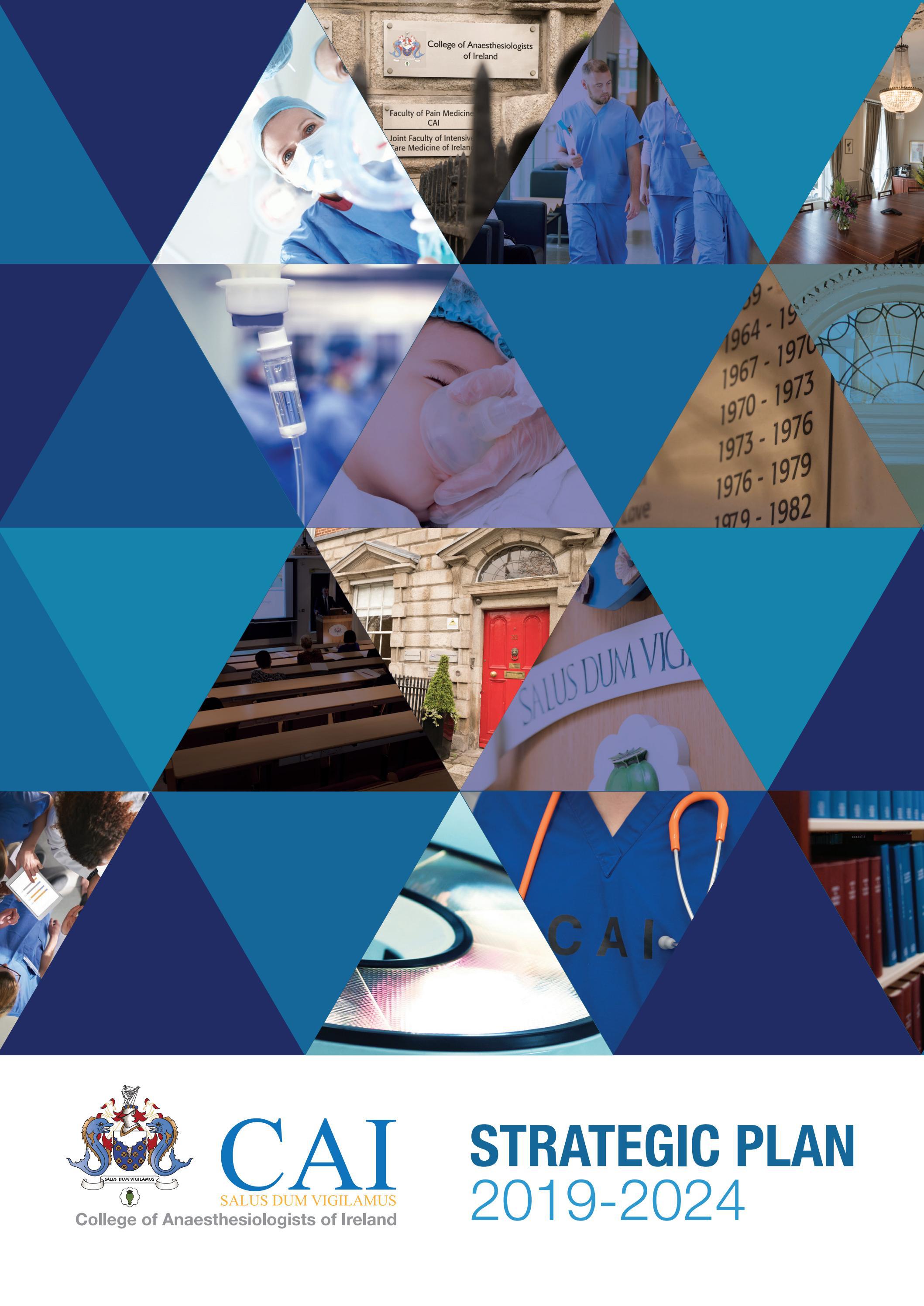 CAI: Strategic Plan 2019 - 2024 by Ashville Media Group - Issuu