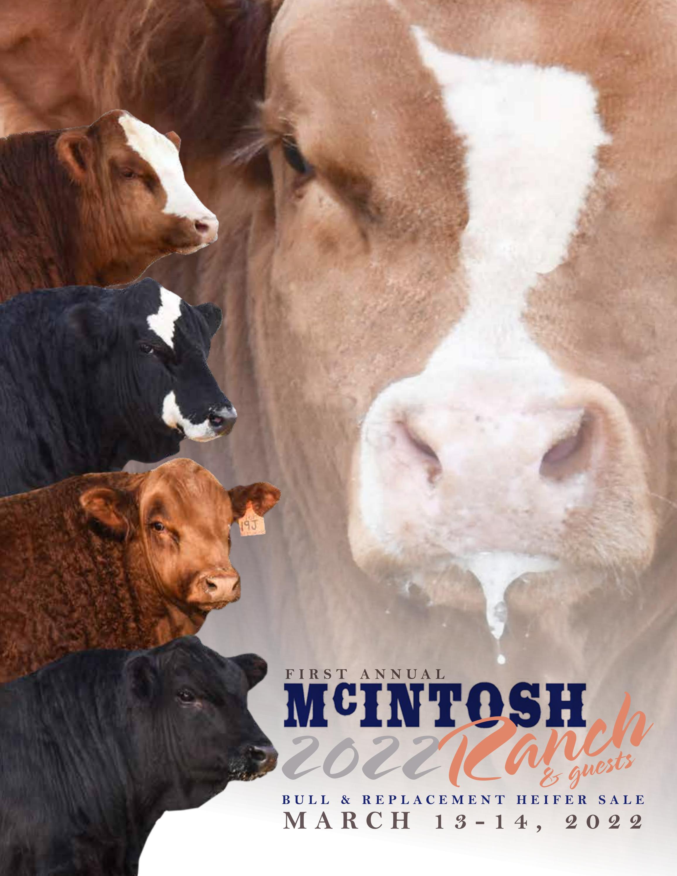 McIntosh Ranch and Guests by Bohrson Marketing Services Ltd. - Issuu