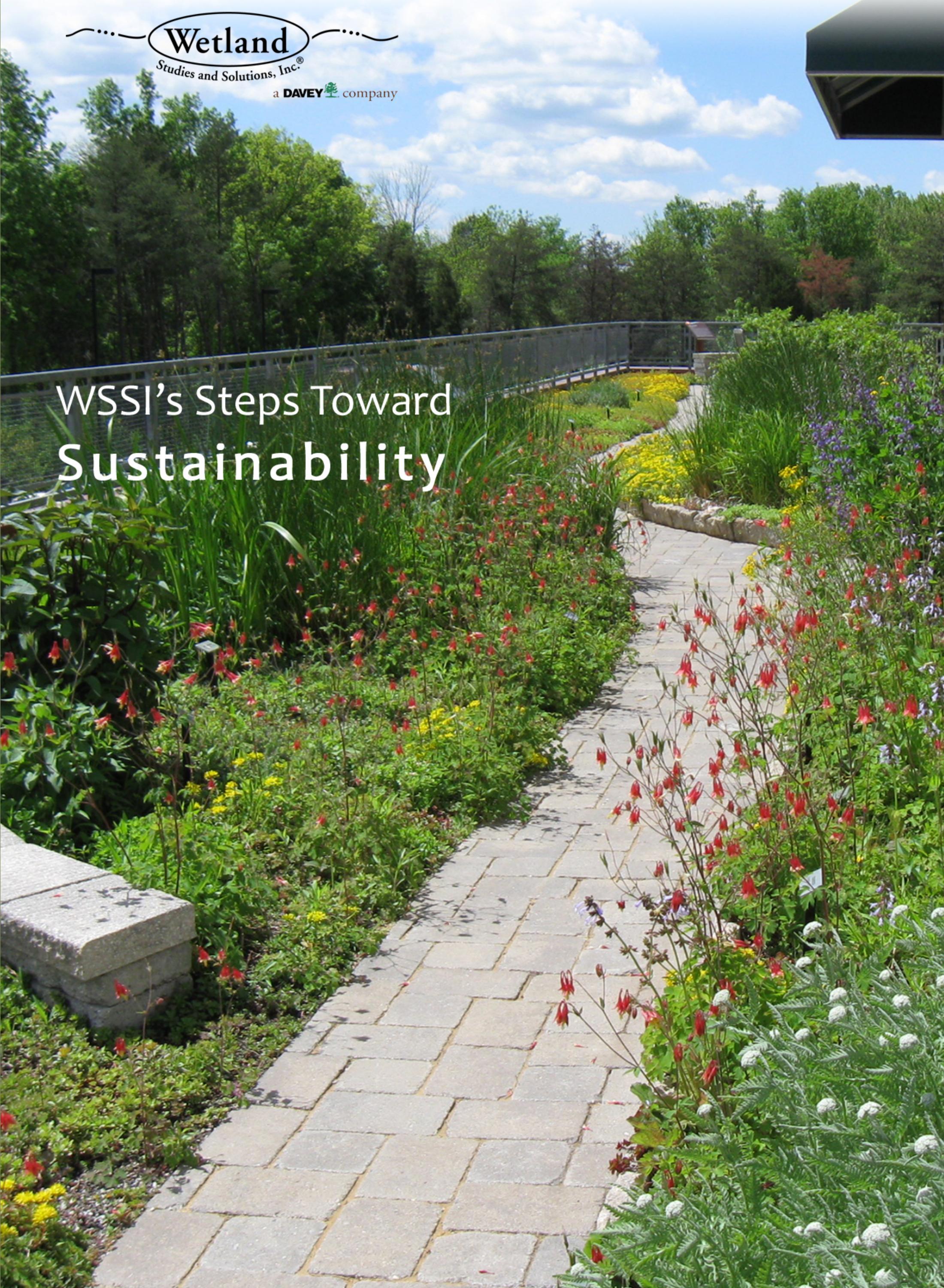 WSSI Sustainability Brochure by Wetland Studies and Solutions, Inc. - Issuu