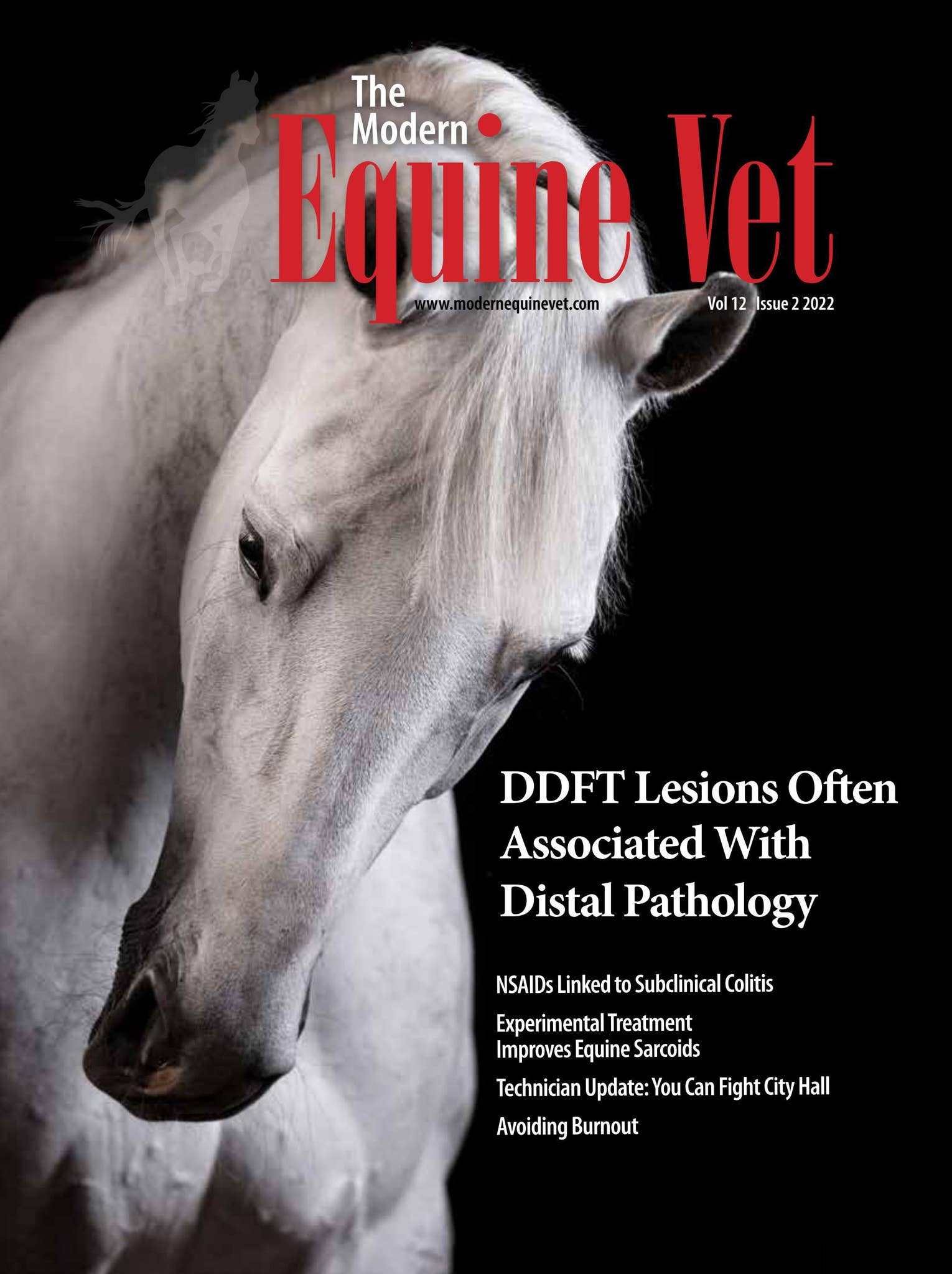 The Modern Equine Vet - February 2022 by The Modern Equine Vet - Issuu