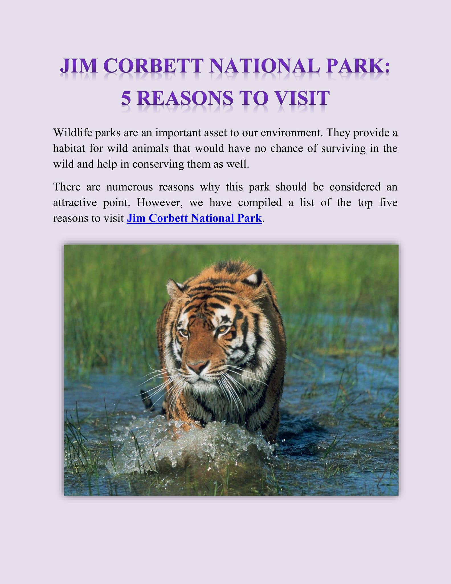 JIM CORBETT NATIONAL PARK: 5 REASONS TO VISIT by Jim Corbett National ...