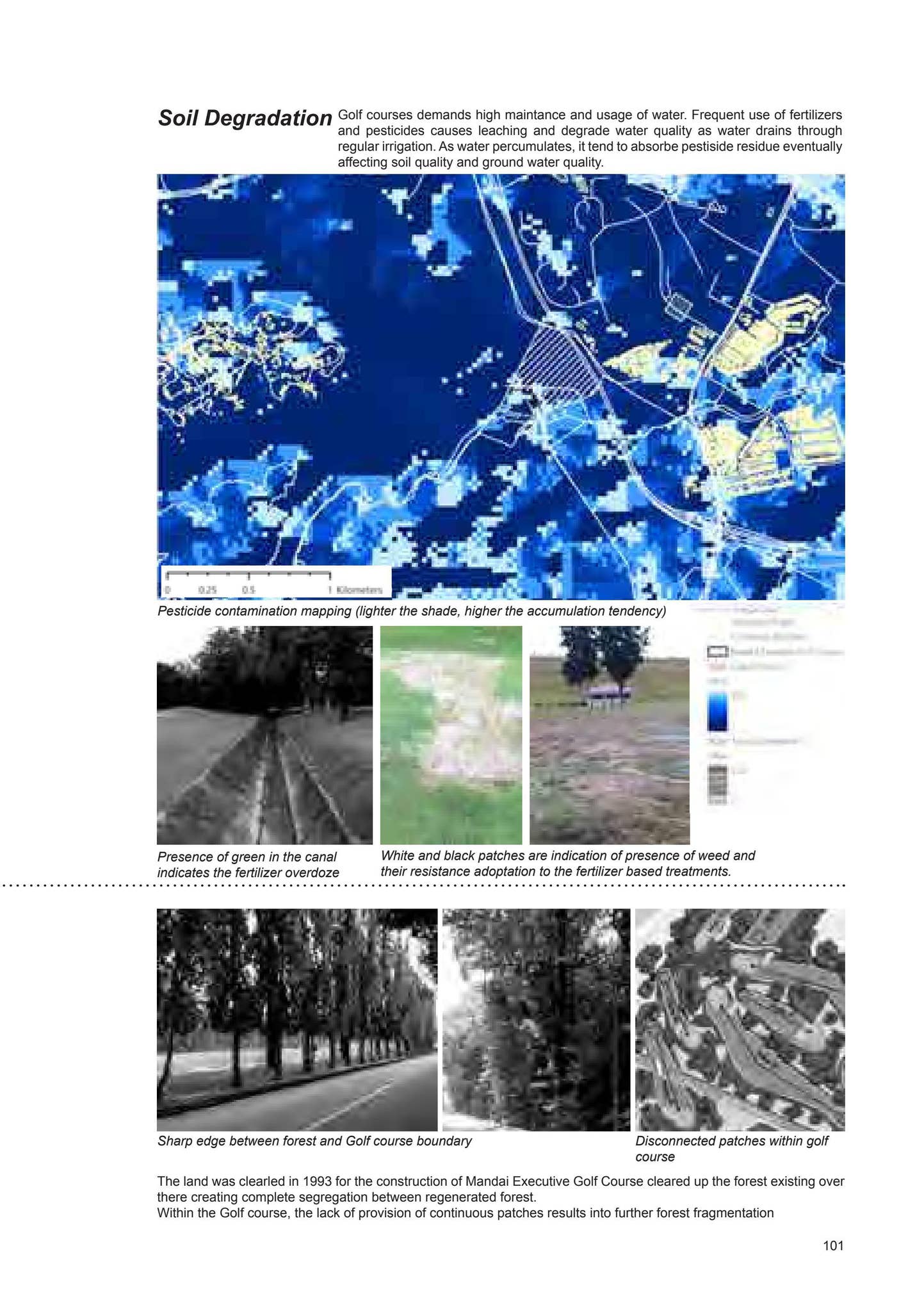 NUS LANDSCAPE: REWILDING SINGAPORE by NUS Department of Architecture ...