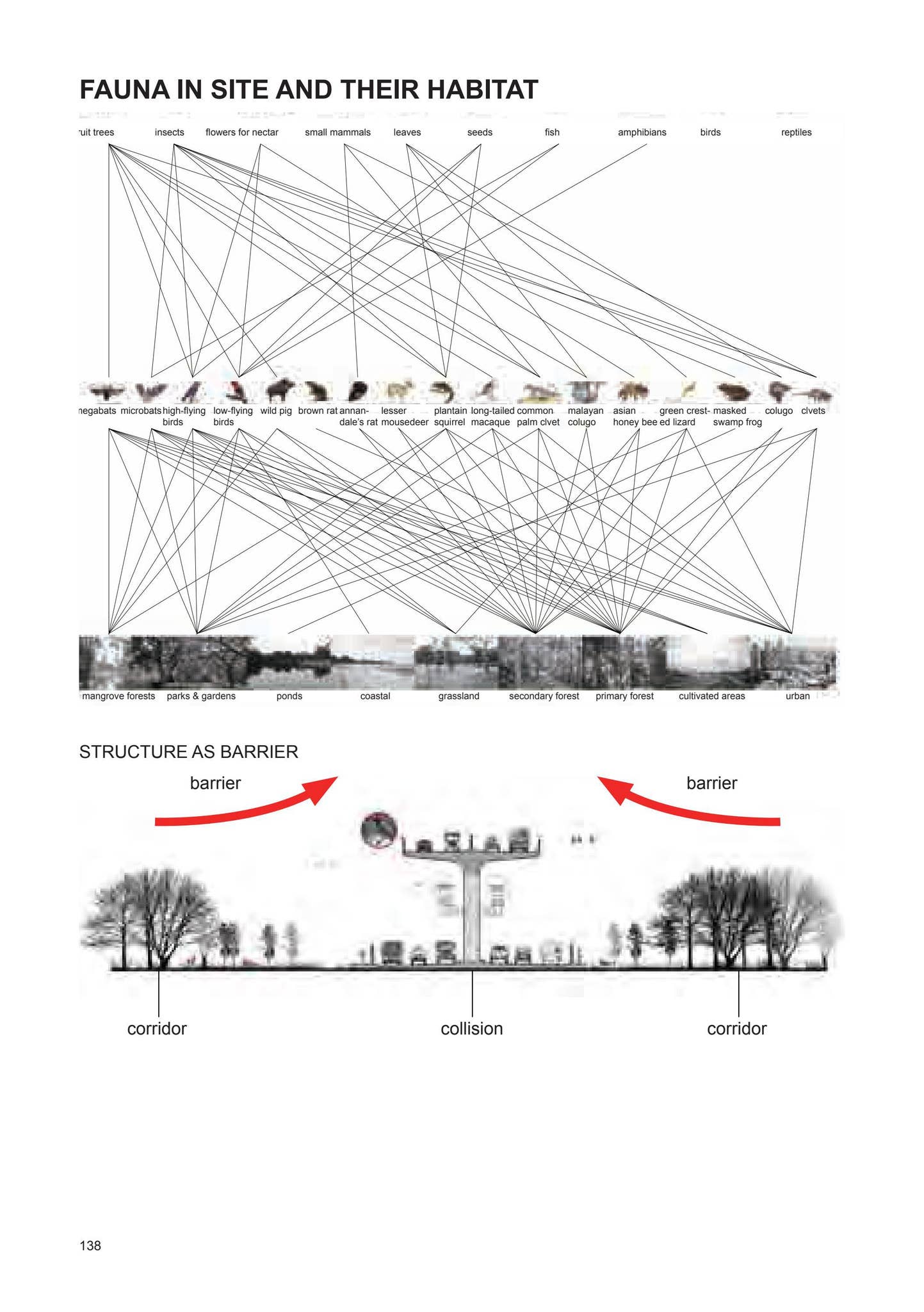 NUS LANDSCAPE: REWILDING SINGAPORE by NUS Department of Architecture ...