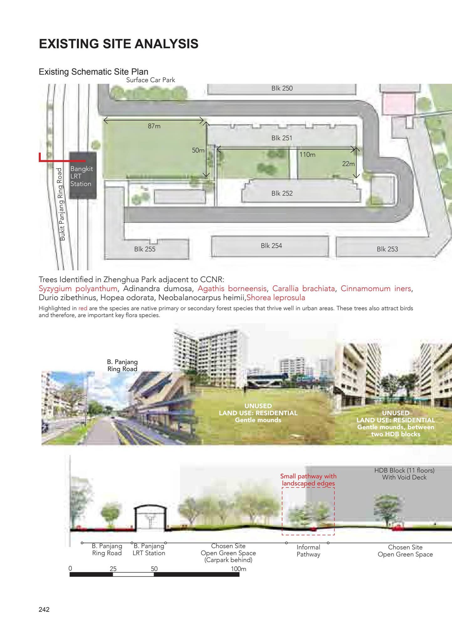 NUS LANDSCAPE: REWILDING SINGAPORE by NUS Department of Architecture ...