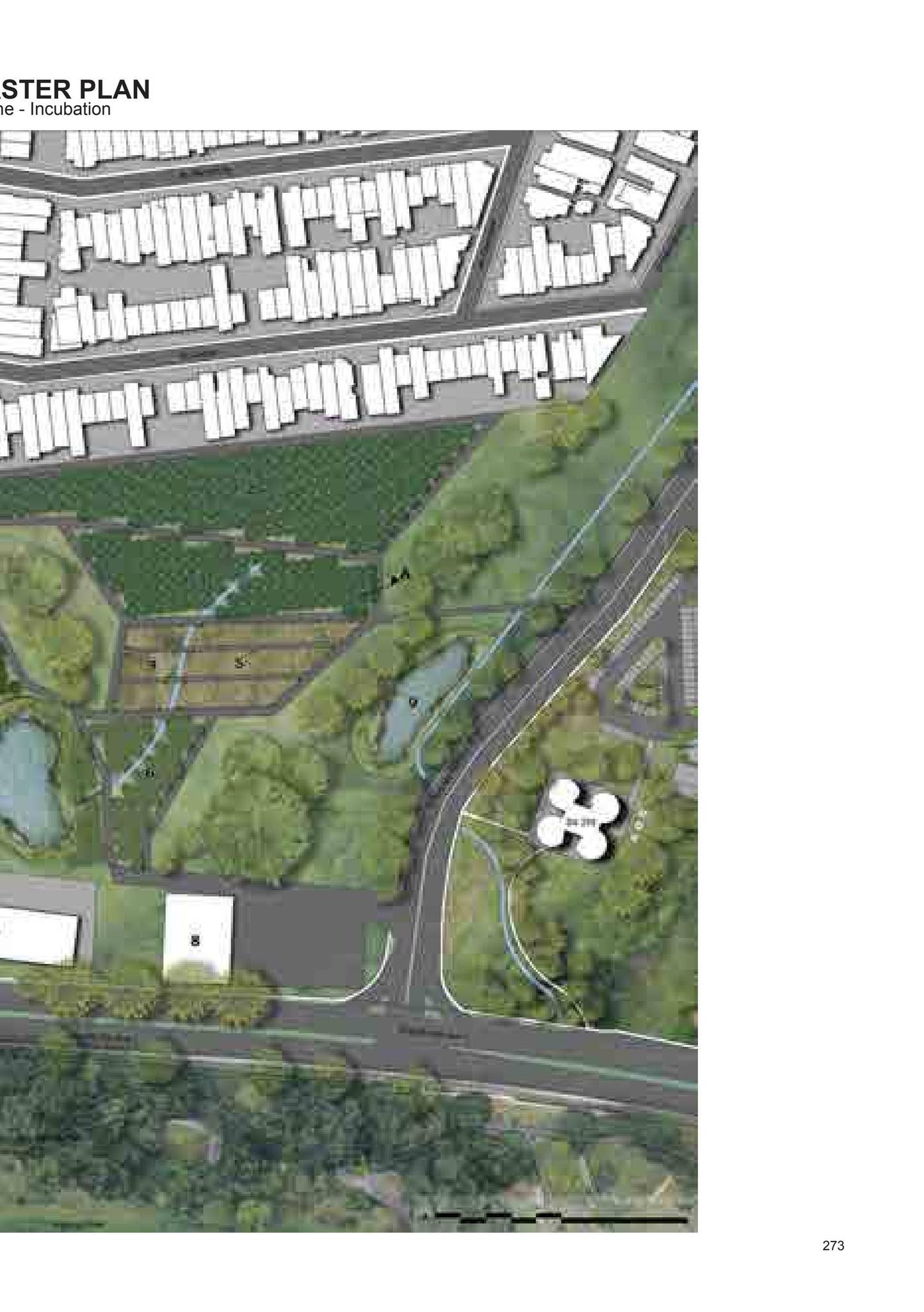 NUS LANDSCAPE: REWILDING SINGAPORE by NUS Department of Architecture ...