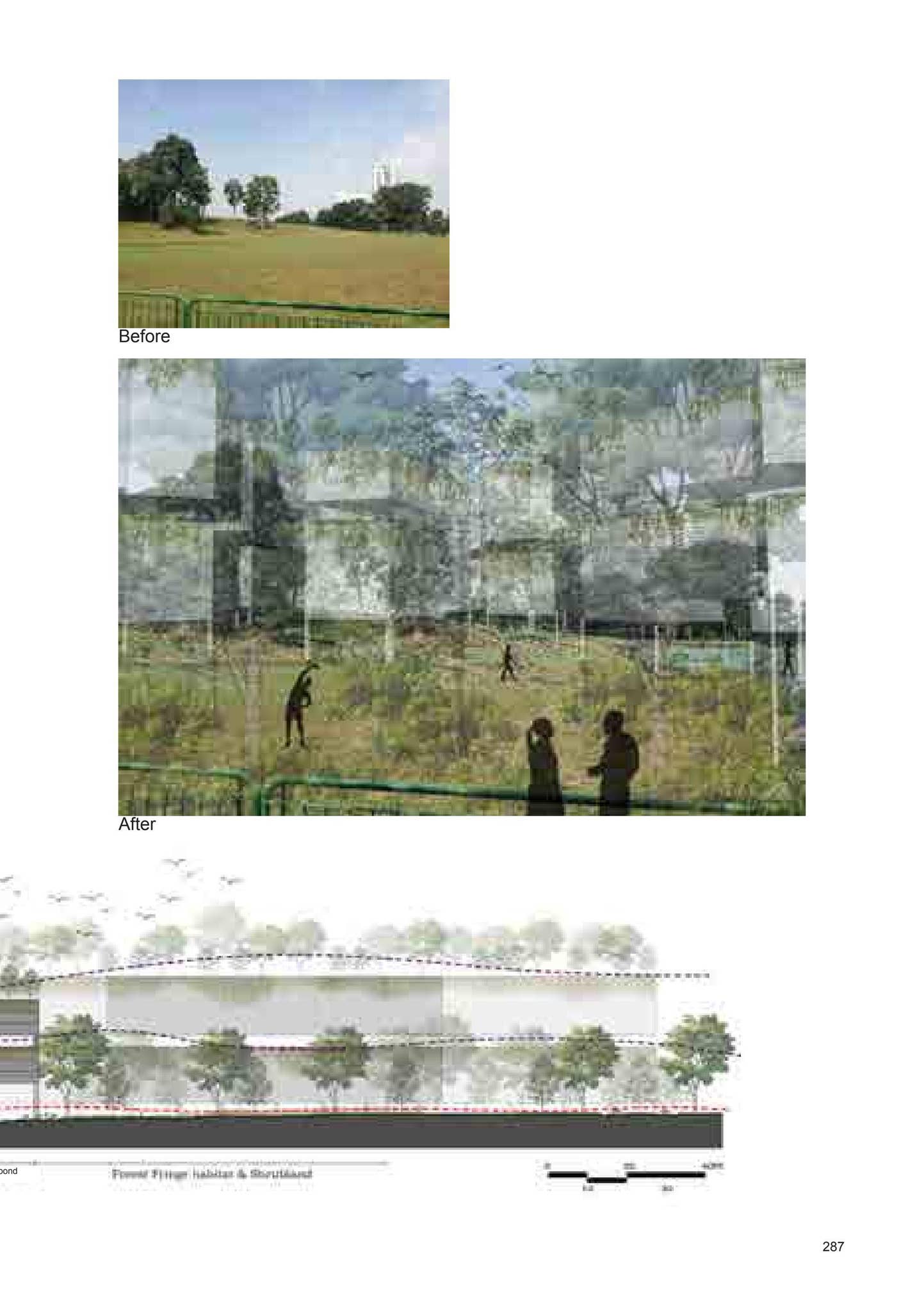 NUS LANDSCAPE: REWILDING SINGAPORE by NUS Department of Architecture ...