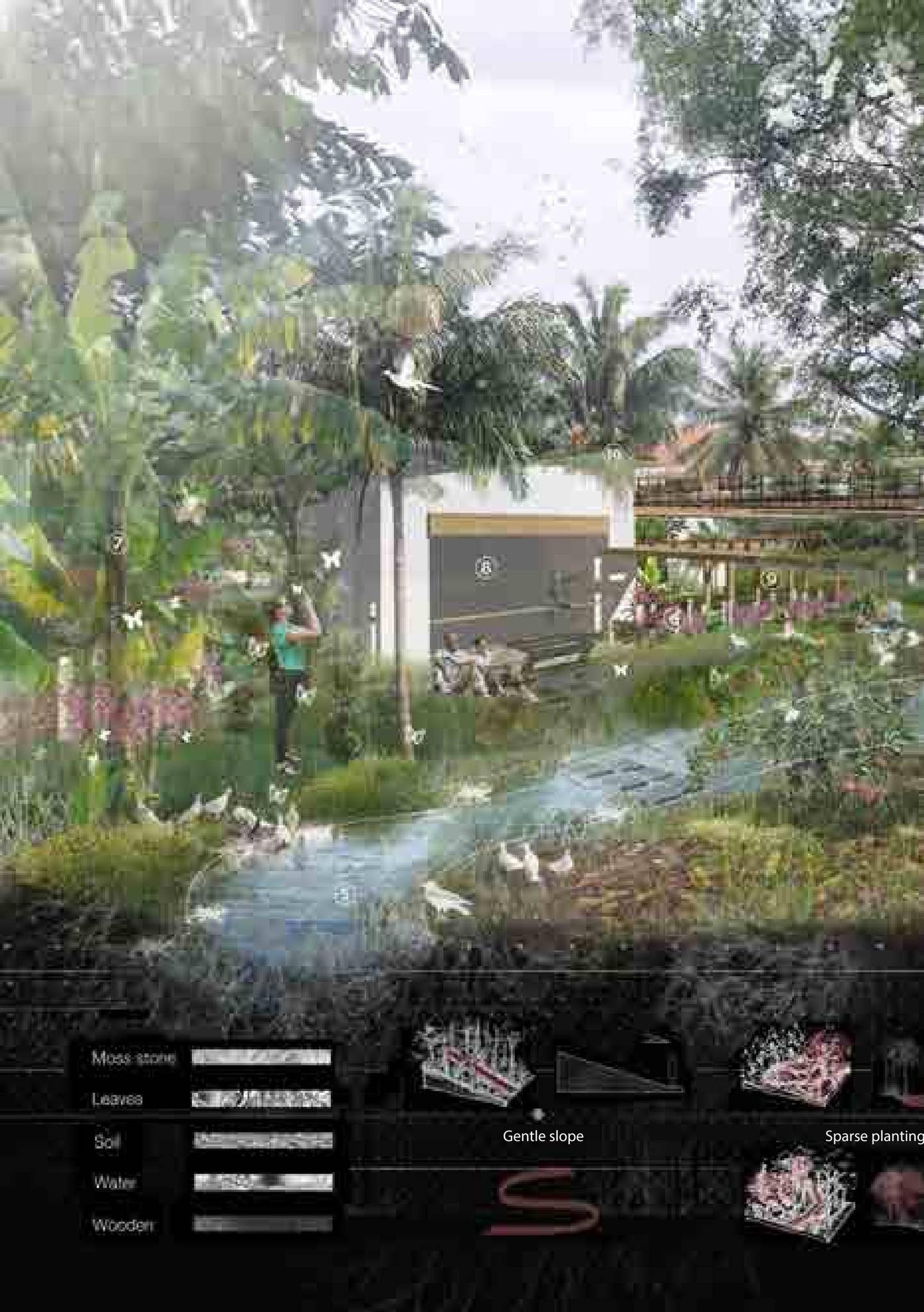 NUS LANDSCAPE: REWILDING SINGAPORE by NUS Department of Architecture ...