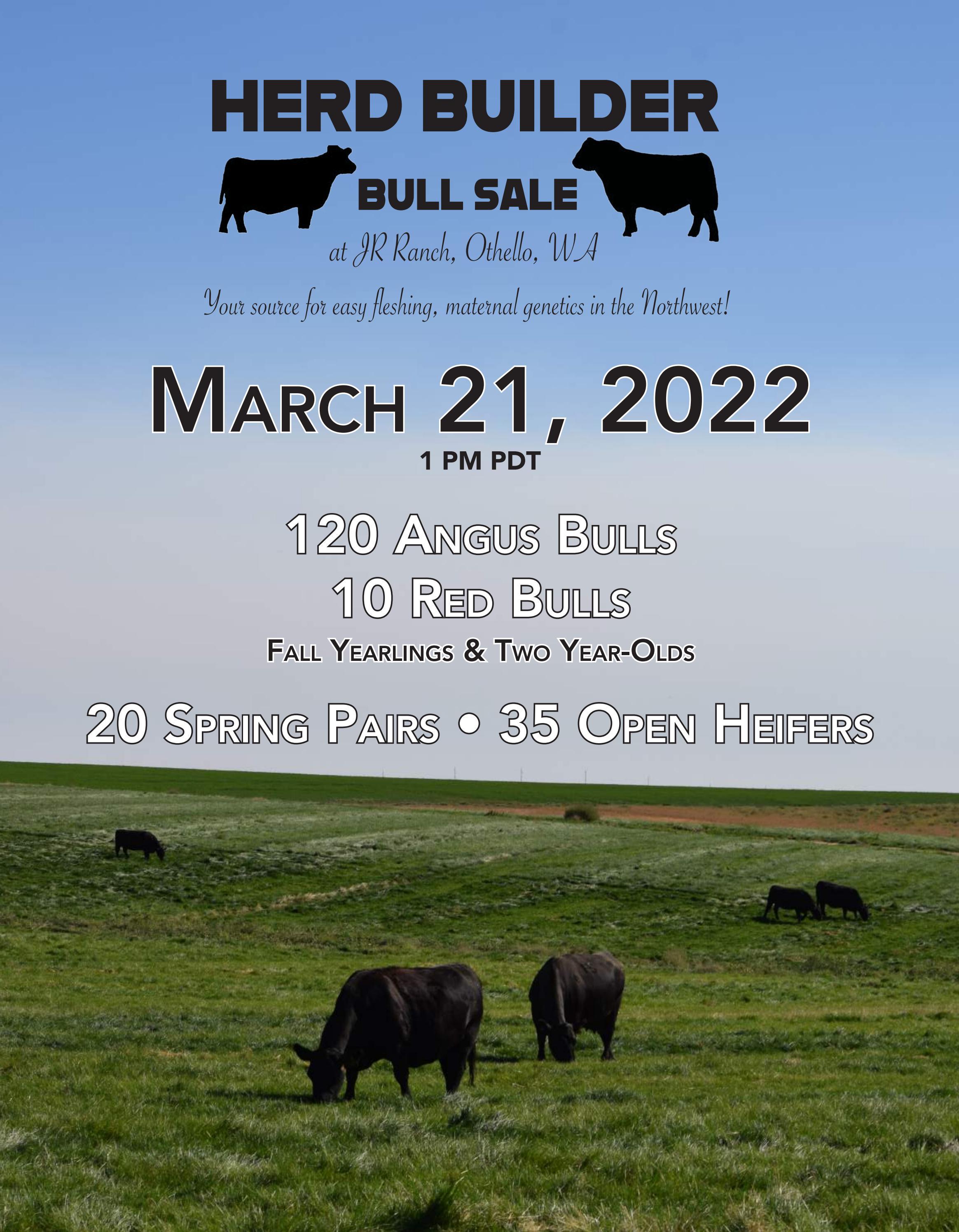 Herd Builder Bull Sale Catalog 2022 by PeltonLivestock - Issuu