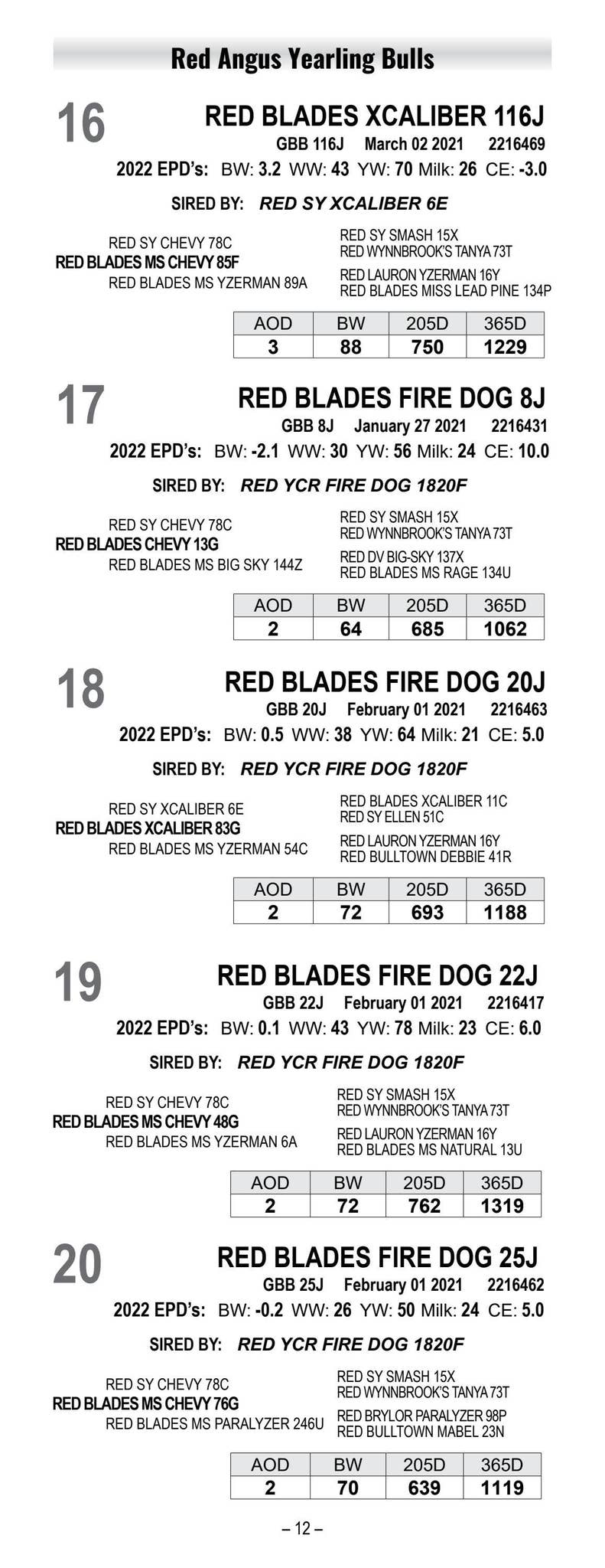 Blades Angus Red & Black Angus Bull Sale by Canadian Angus Association ...
