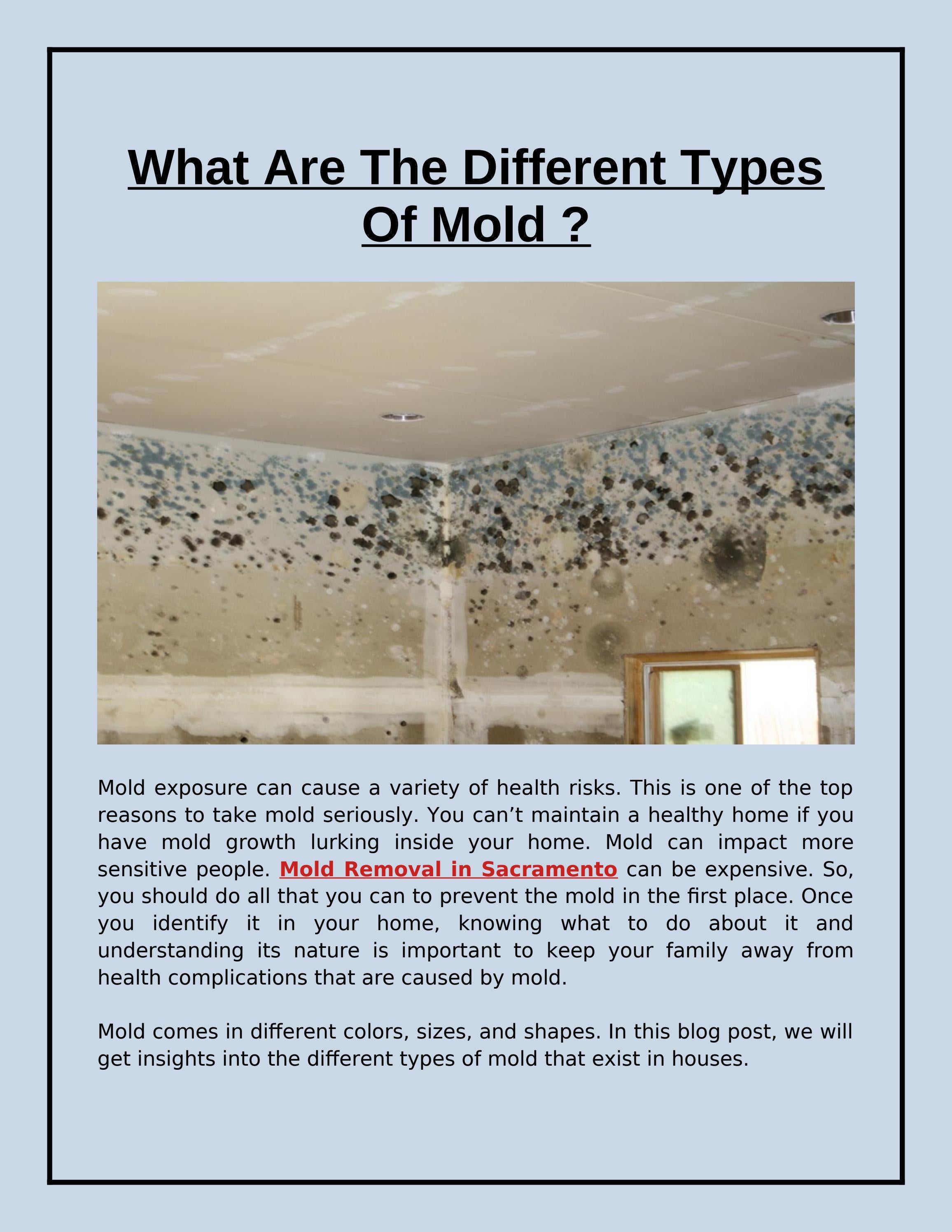 What Are The Different Types Of Mold? by JM Environmental, Inc. - Issuu