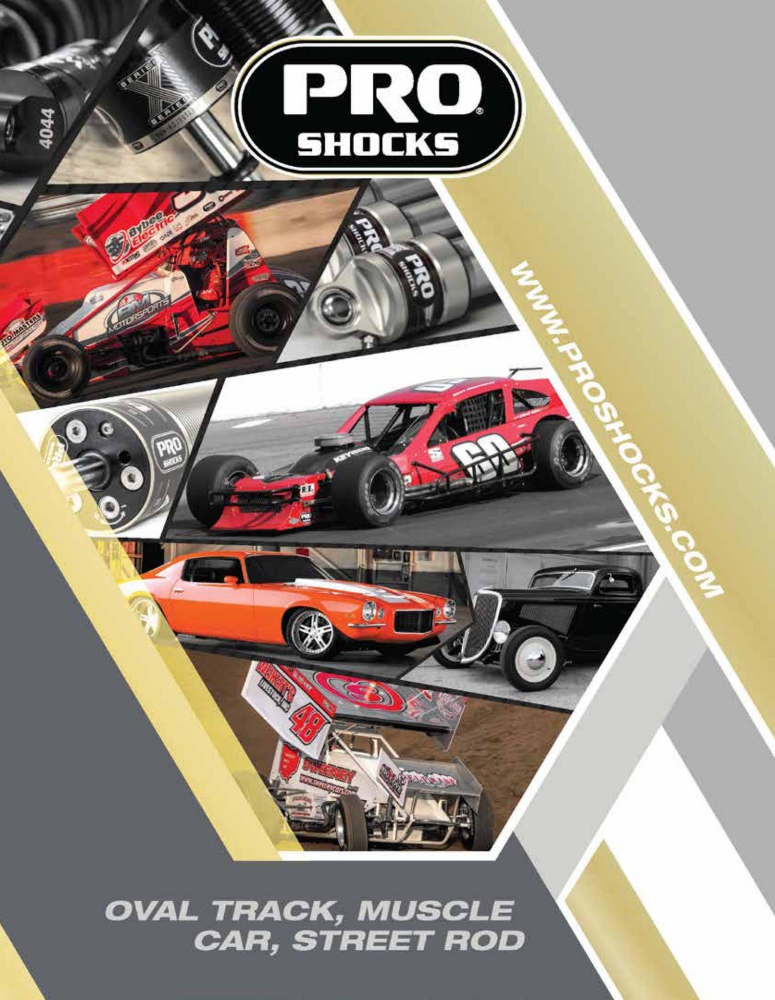 PRO Shocks 2022 Catalog by AFCO Performance Group - Issuu