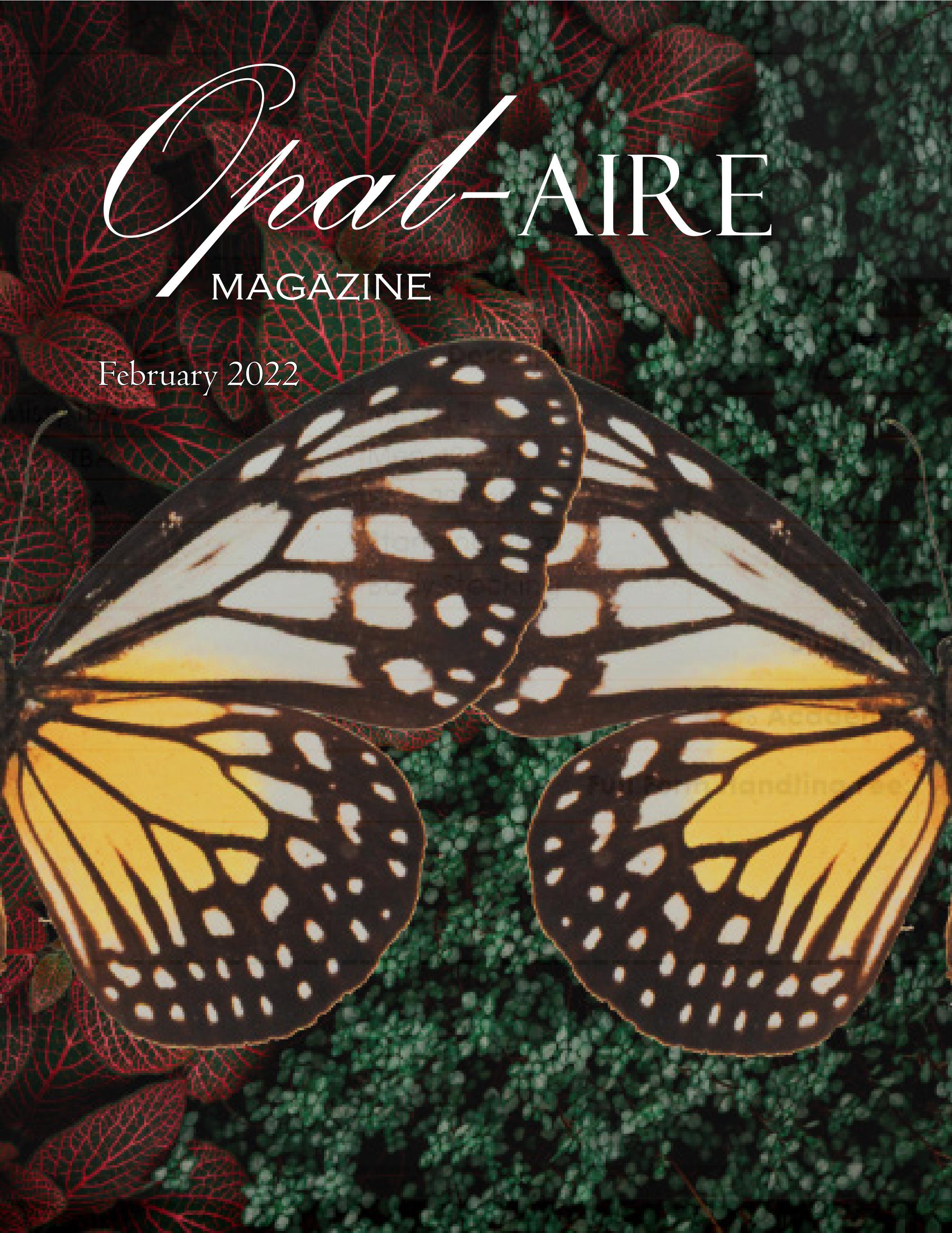 Opal-Aire Magazine February 2022 by Opal-Aire Magazine - Issuu