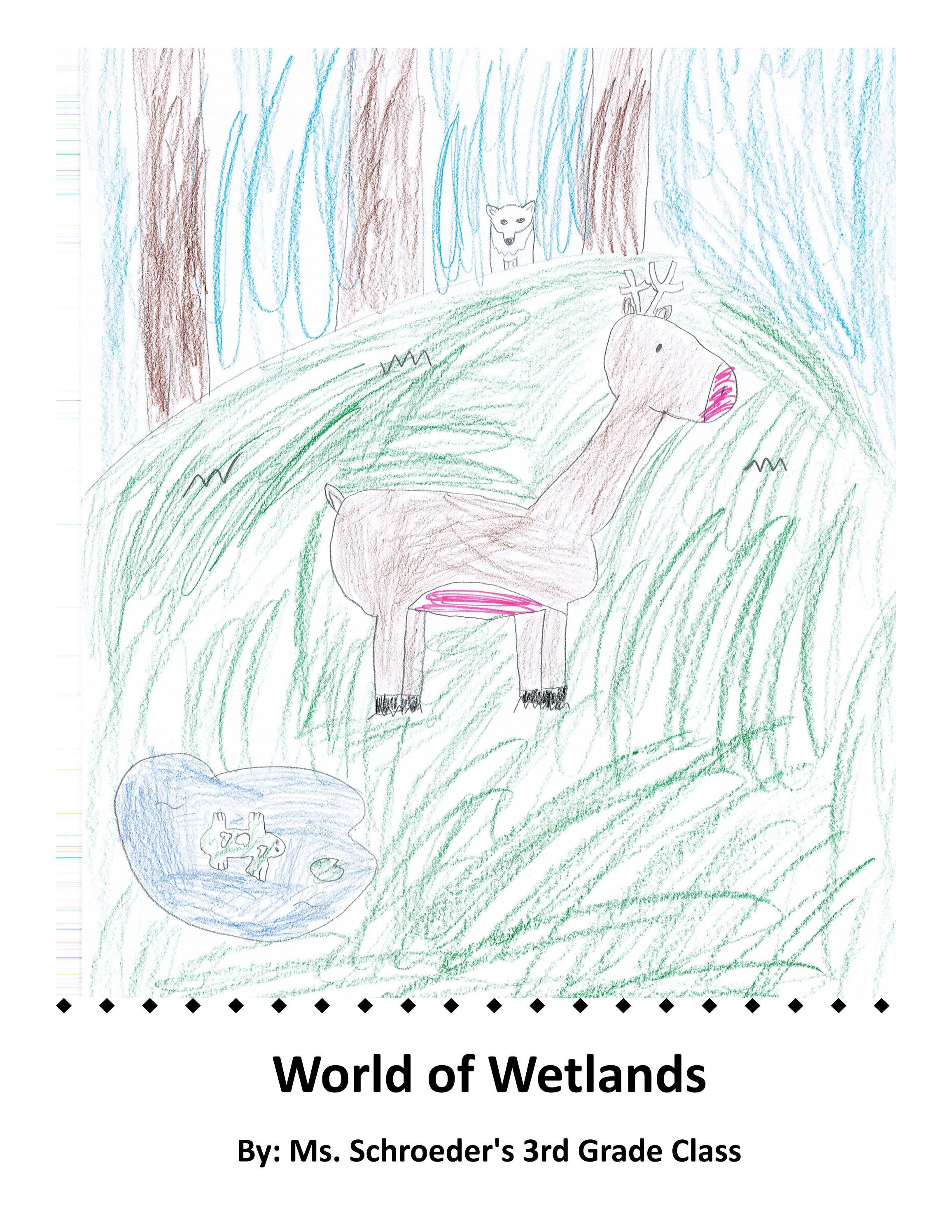 World of Wetlands, Ms. Schroeder, 3rd Grade by ThorneNature - Issuu