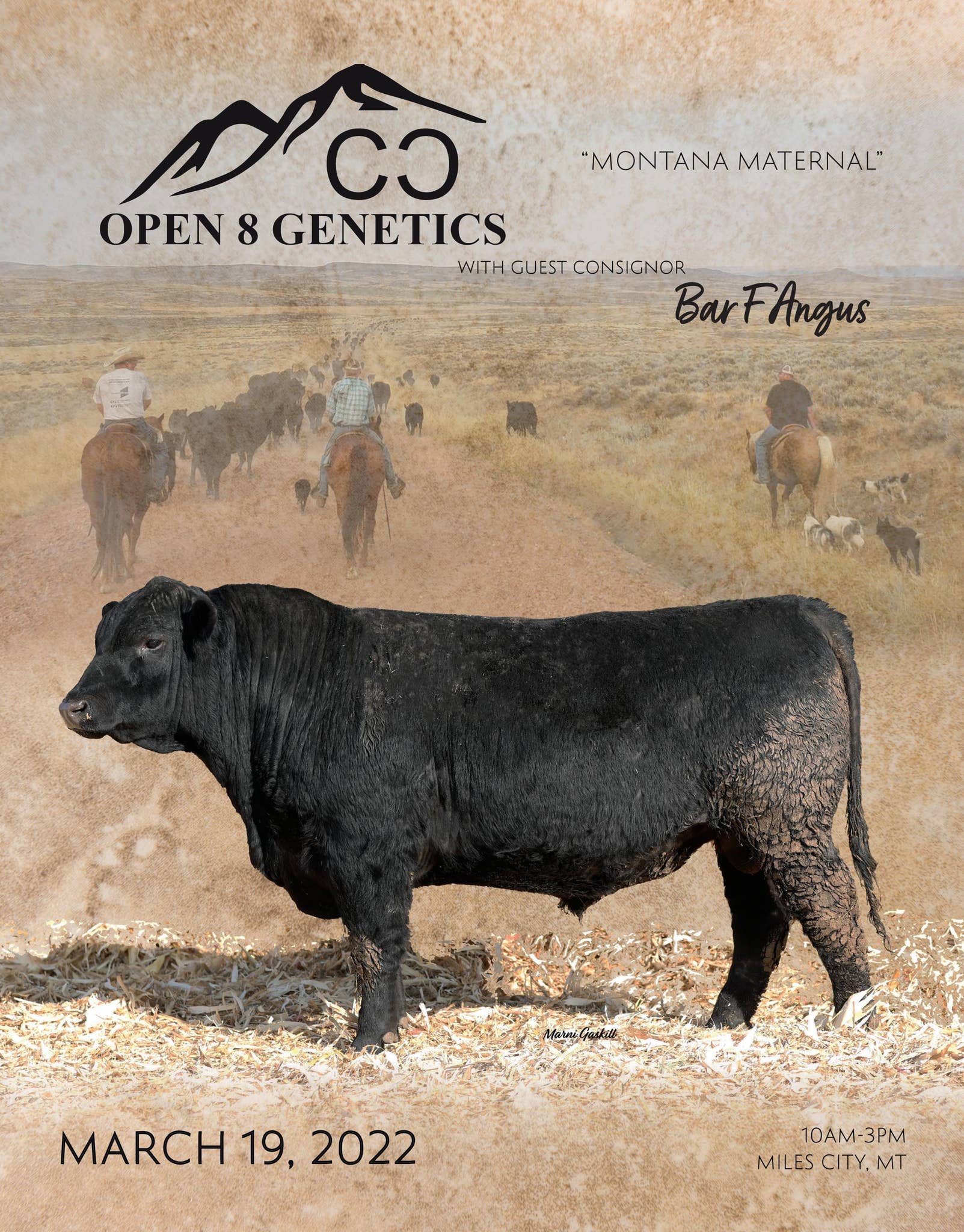 Open 8 Genetics 2022 Bull Sale by HorizonMarketingAgency - Issuu