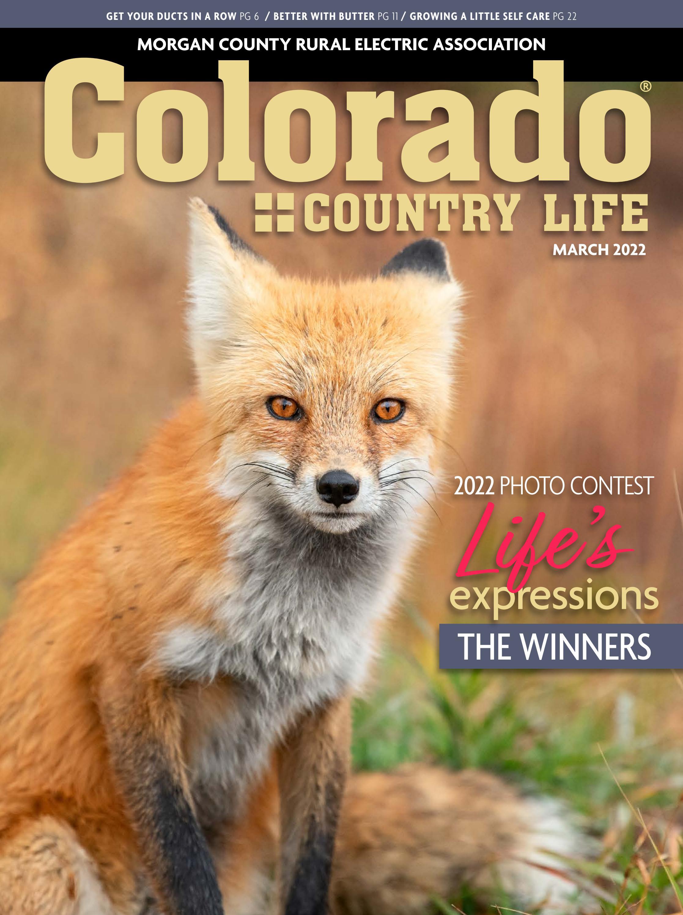 Colorado Country Life March 2022 Morgan County by American MainStreet ...