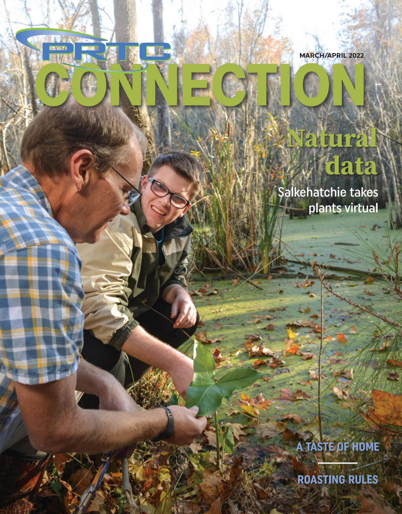 Palmetto Connection March/April 2022 by utilitypioneers - Issuu