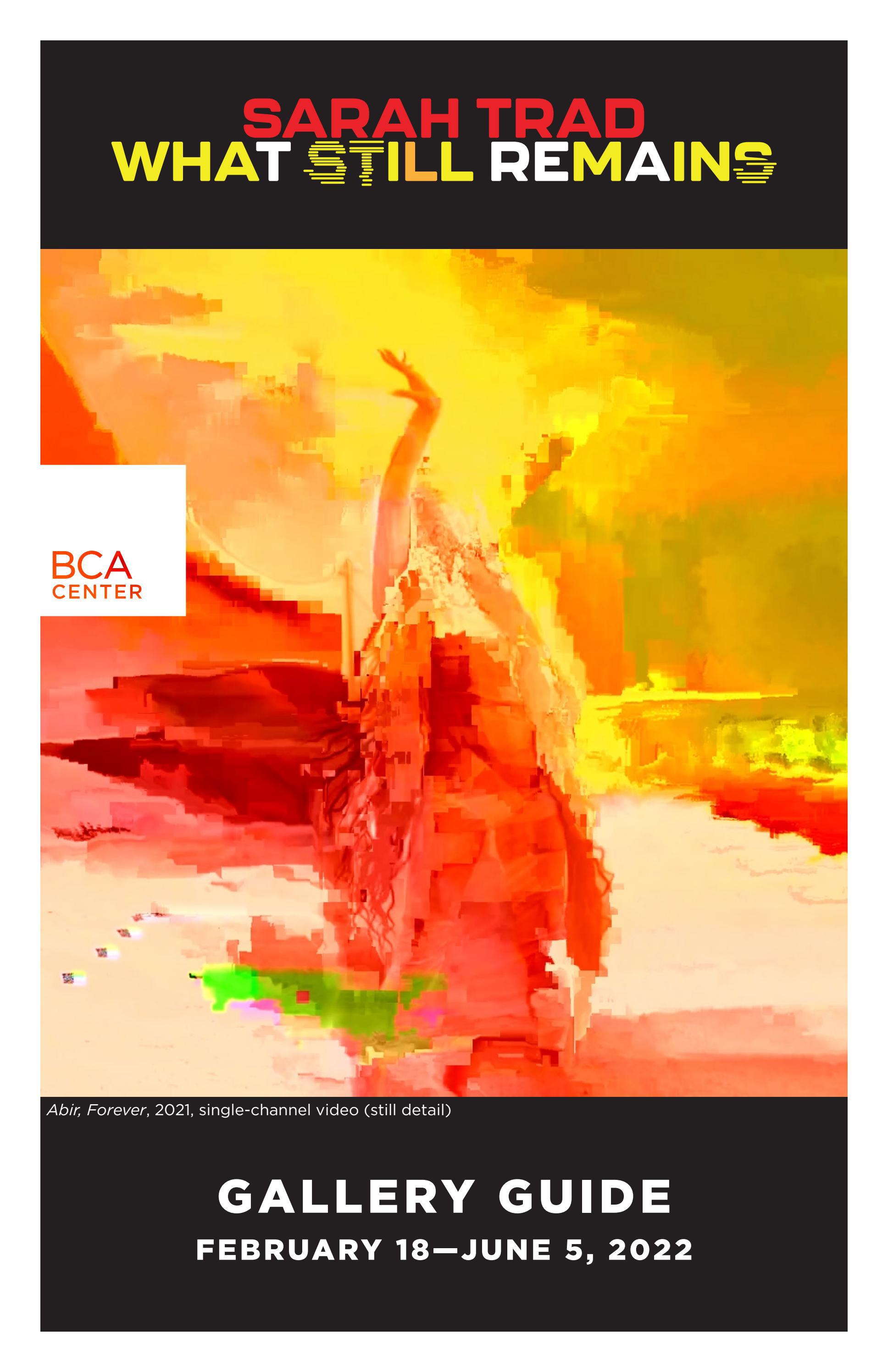 Sarah Trad: What Still Remains Gallery Guide by Burlington City Arts ...