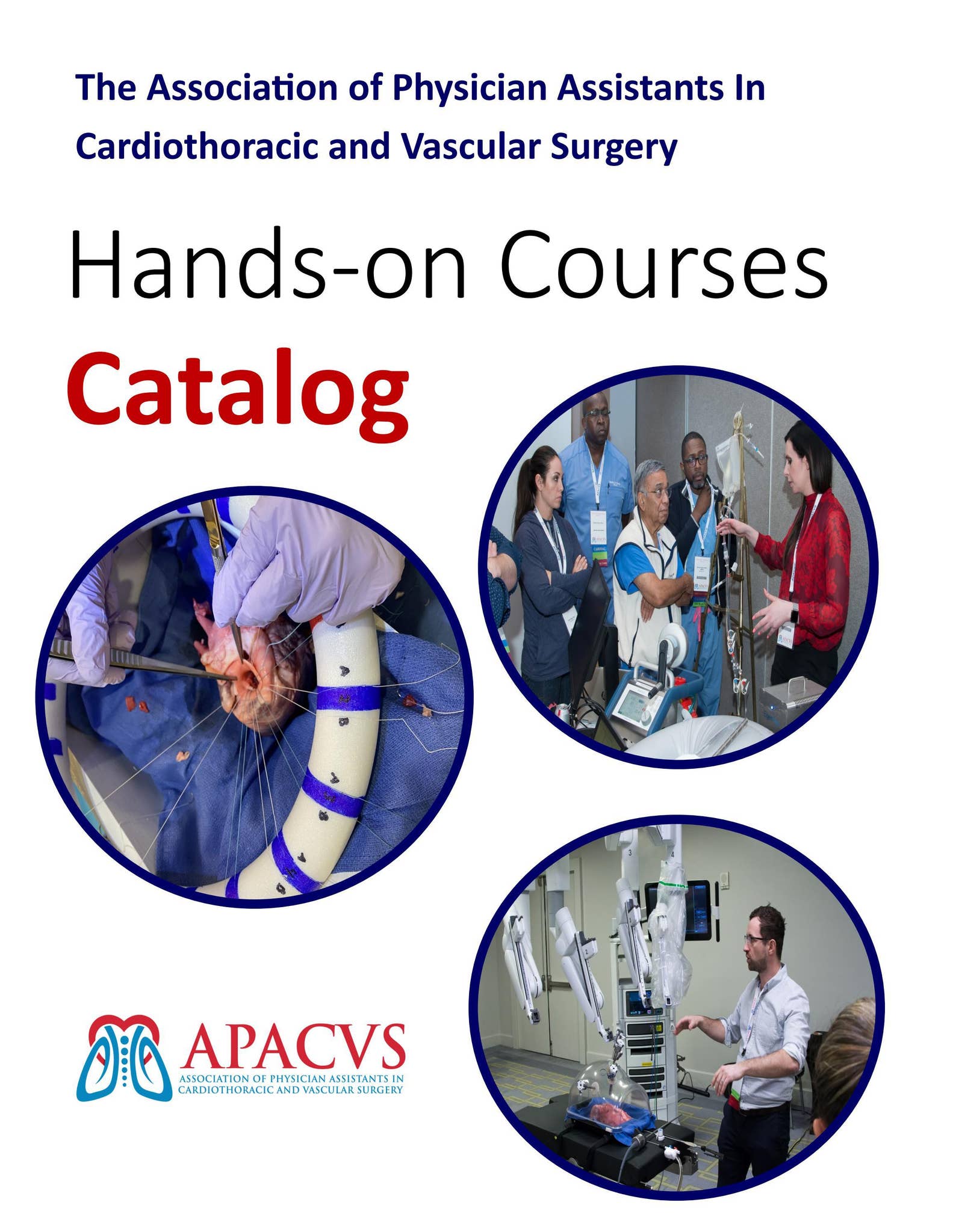 APACVS Hands-on Courses Catalog by JAPACVS - Issuu