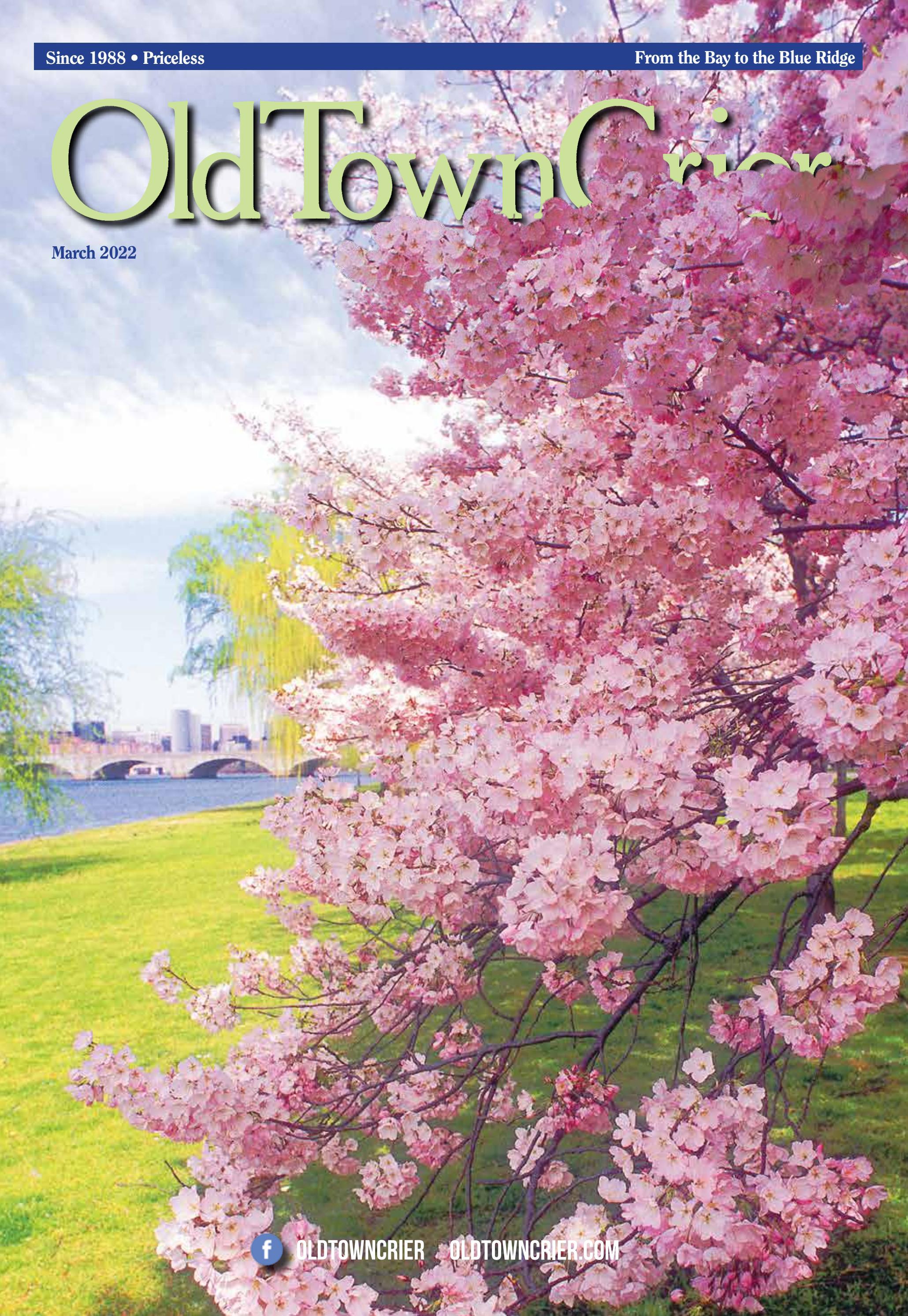 Old Town Crier March 2022 - Full Issue by Old Town Crier - Issuu