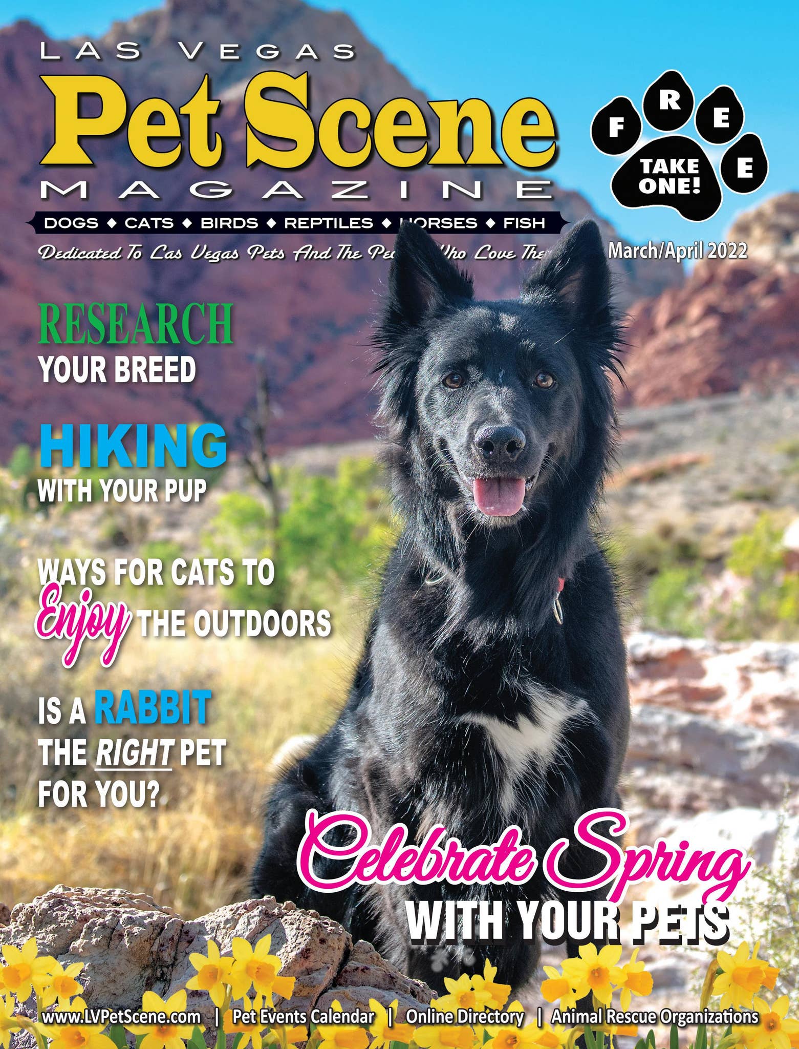 Las Vegas Pet Scene Magazine, March/April 2022 by Homes Illustrated/LV ...
