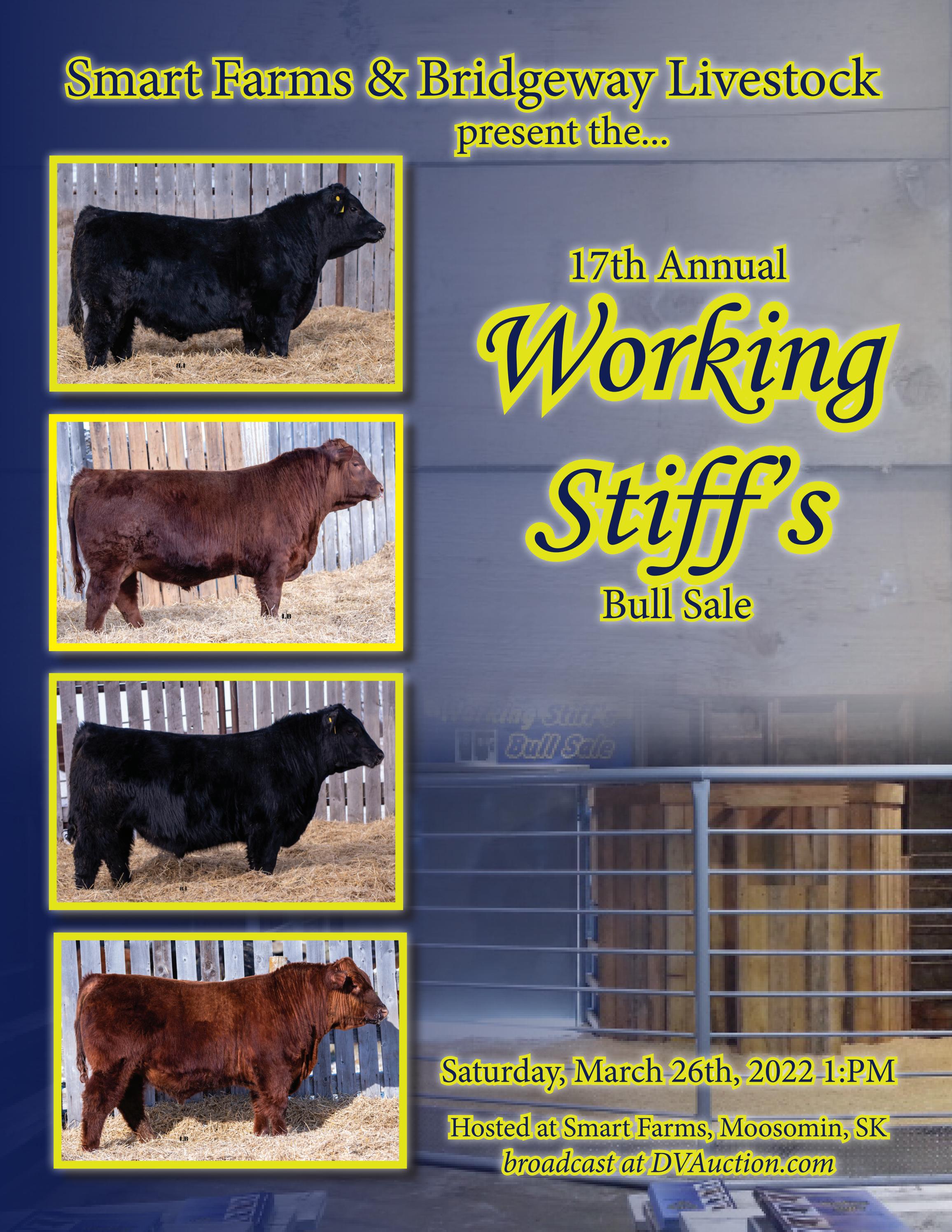 17th Annual Working Stiff's Bull Sale by Kristine Sauter - Issuu