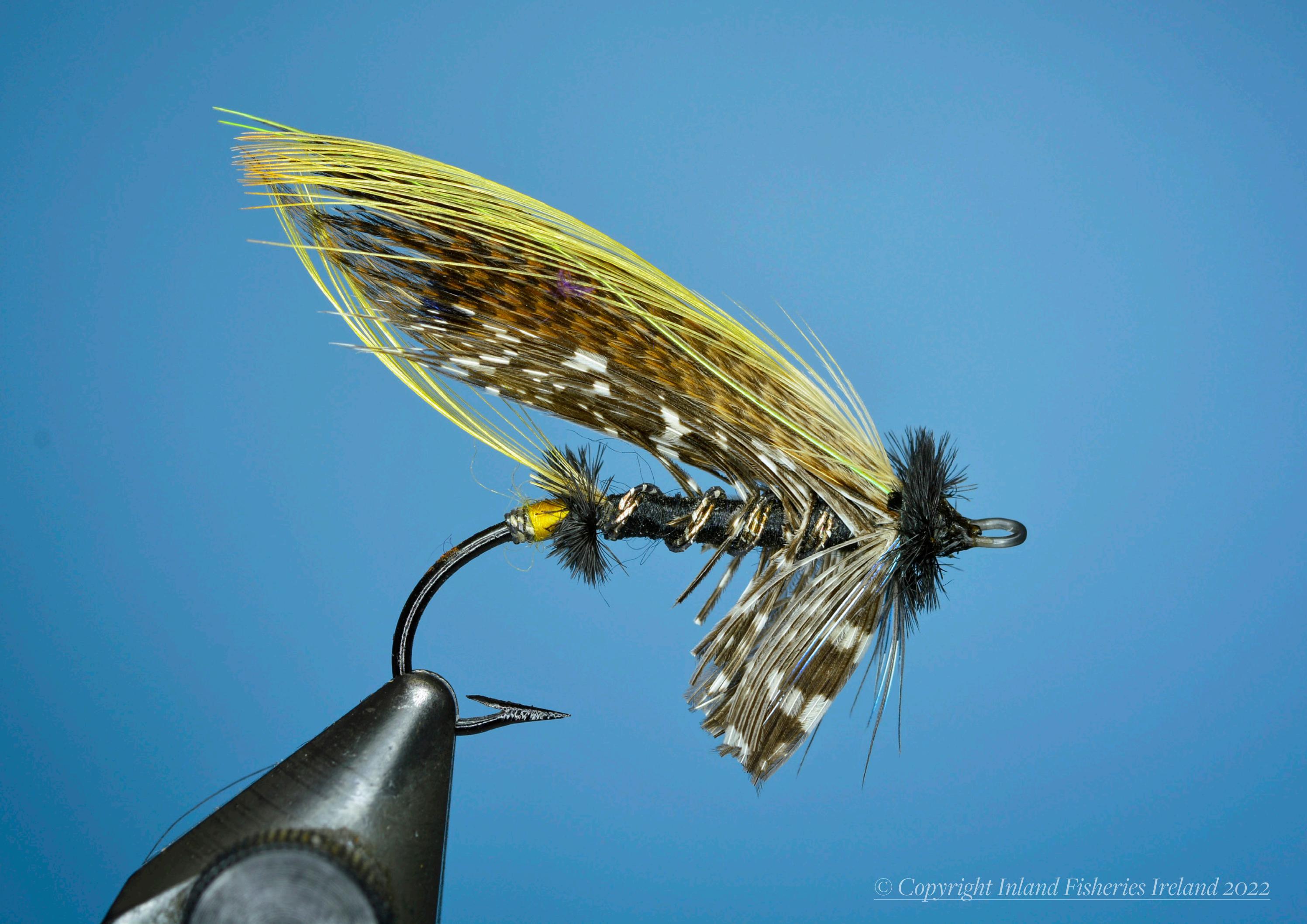 The 1902 Cork Collection of Salmon Flies by Inland Fisheries Ireland ...