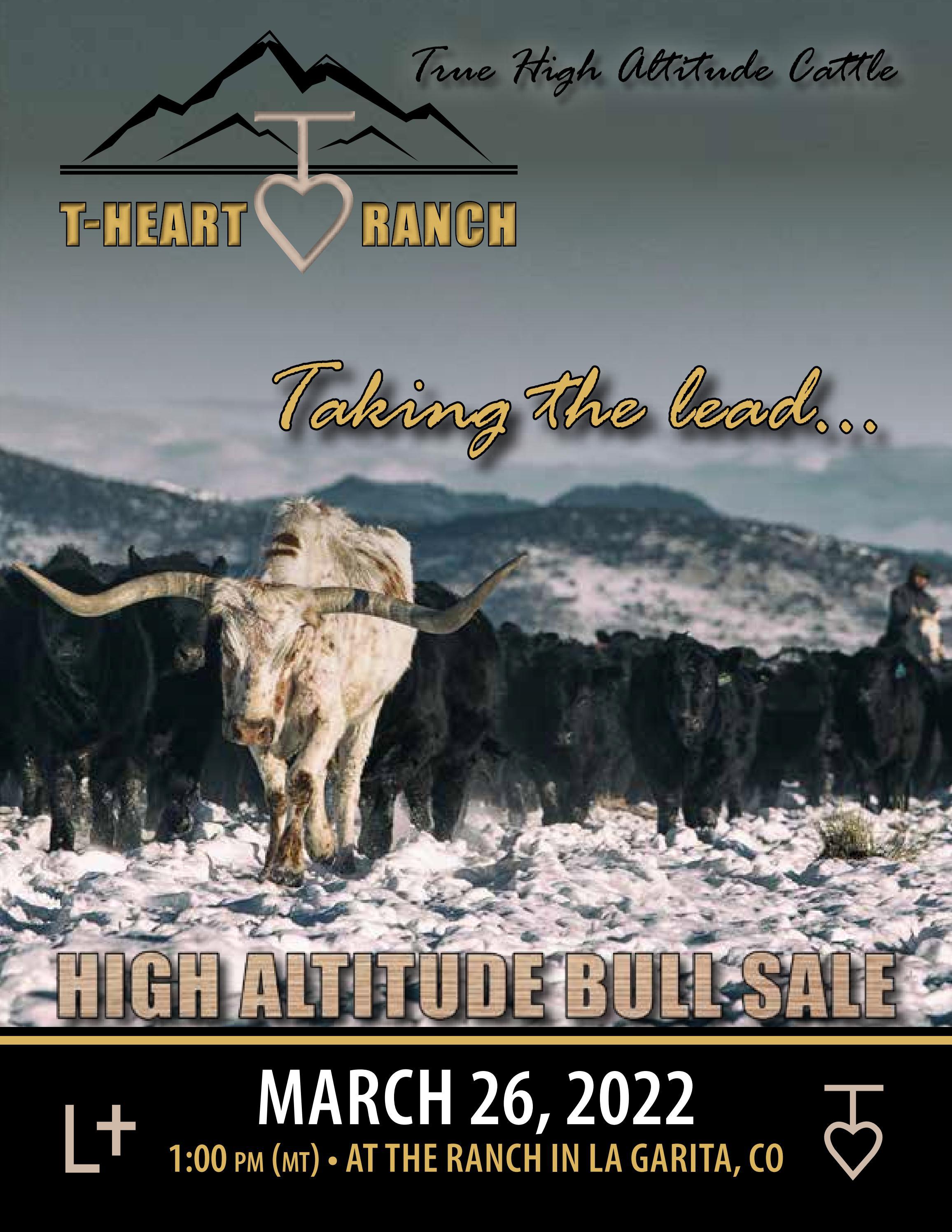 2022 T-Heart Ranch High Altitude Bull Sale by Julie Murnin - Issuu