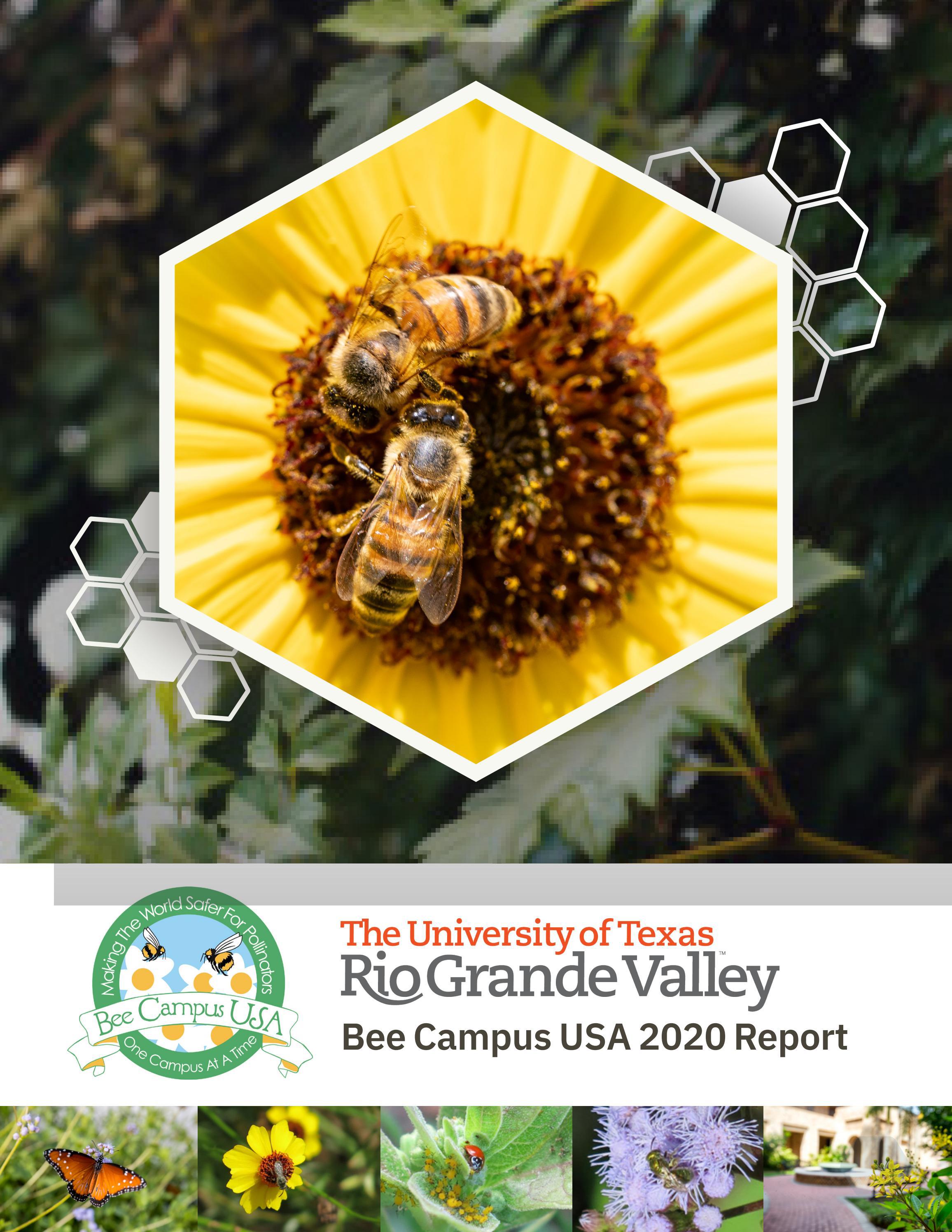 Bee Campus USA 2020 Report by UTRGV Office For Sustainability - Issuu