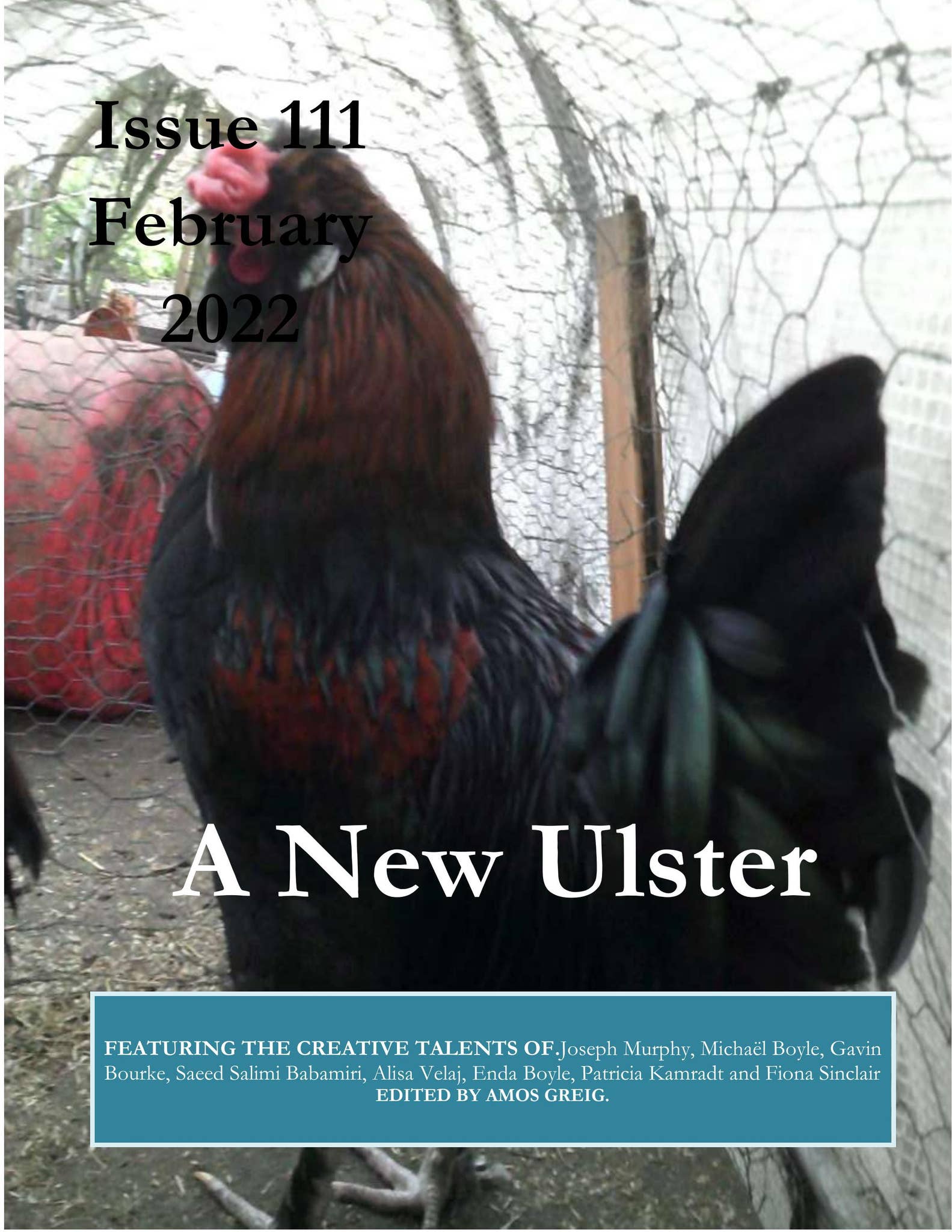 A New Ulster 111 by Amos Greig - Issuu